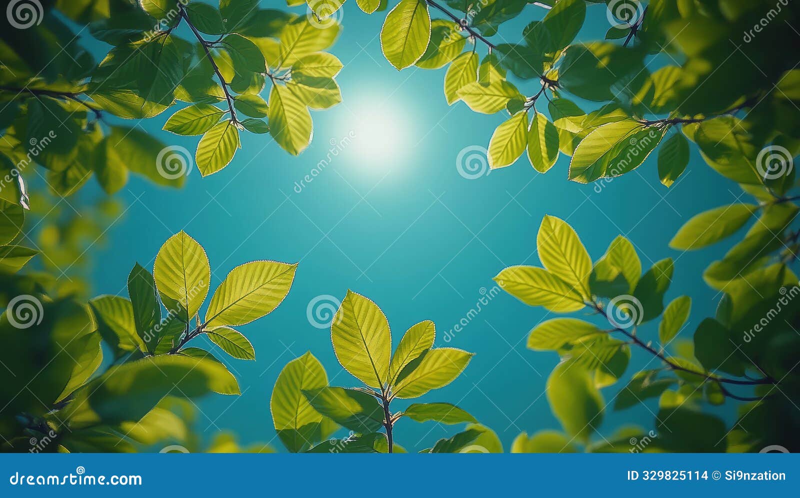 A Background of Sun Rays Coming through the Leaves and Branches of a ...