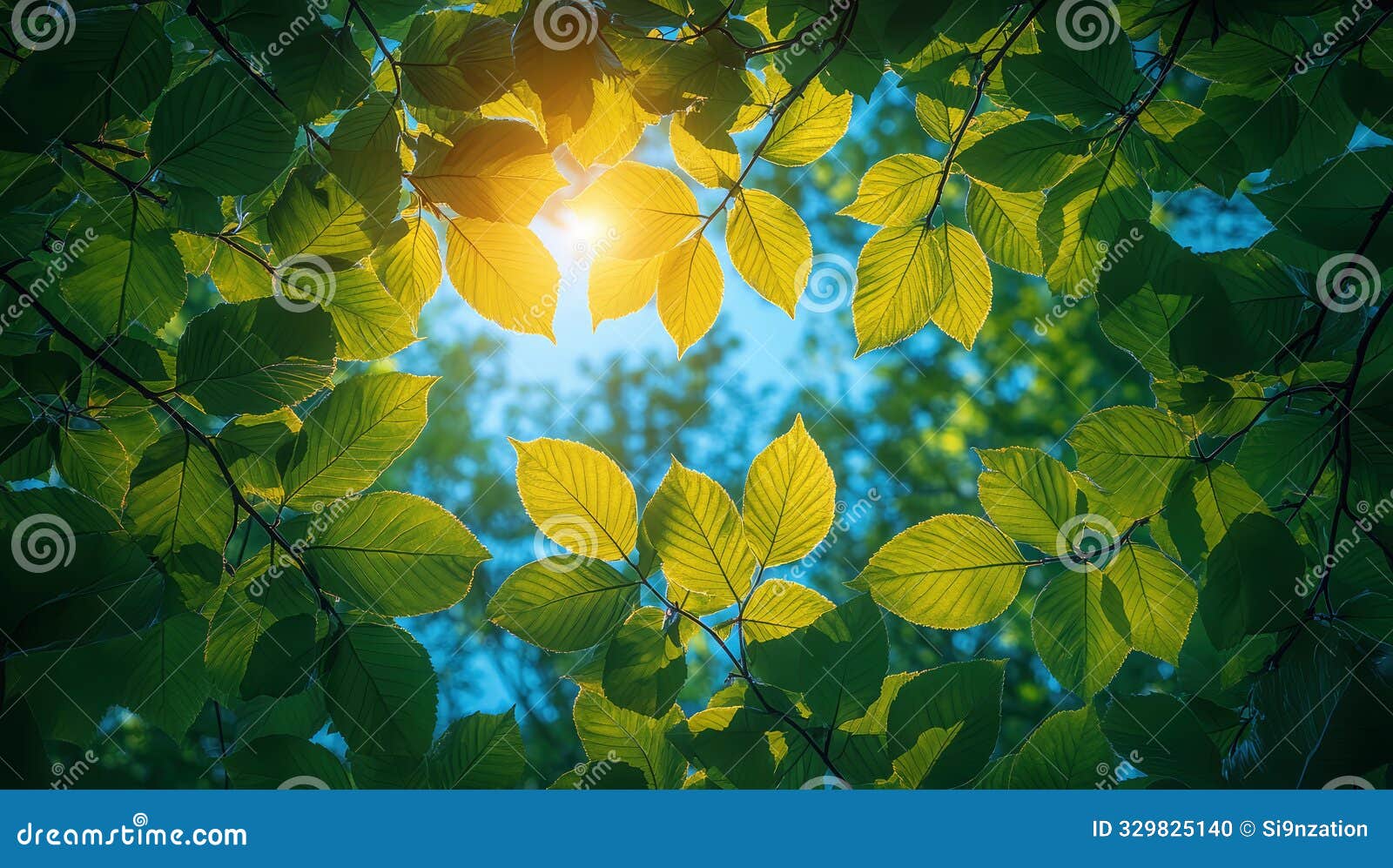 A Background of Sun Rays Coming through the Leaves and Branches of a Tree Stock Illustration ...
