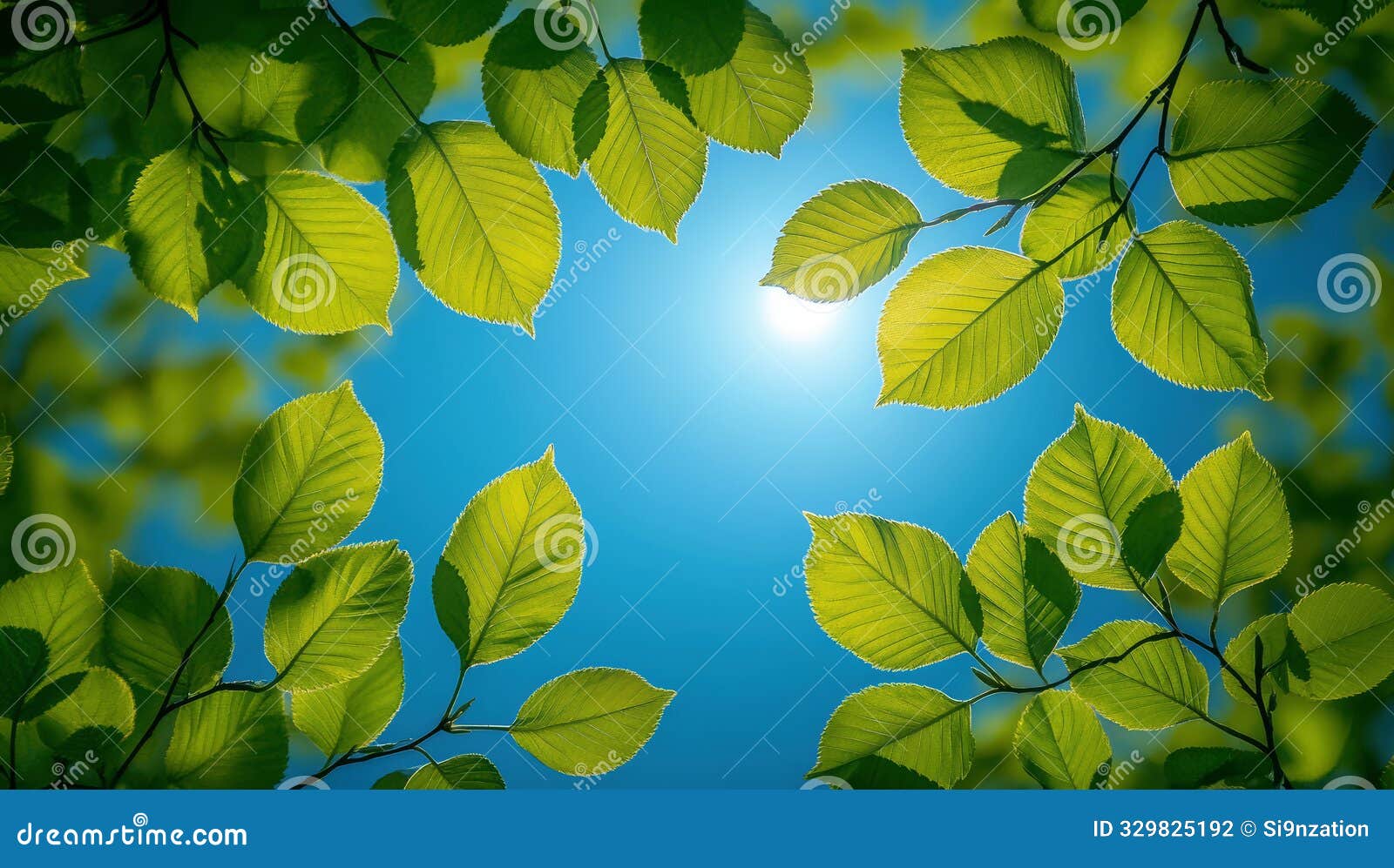 A Background of Sun Rays Coming through the Leaves and Branches of a ...