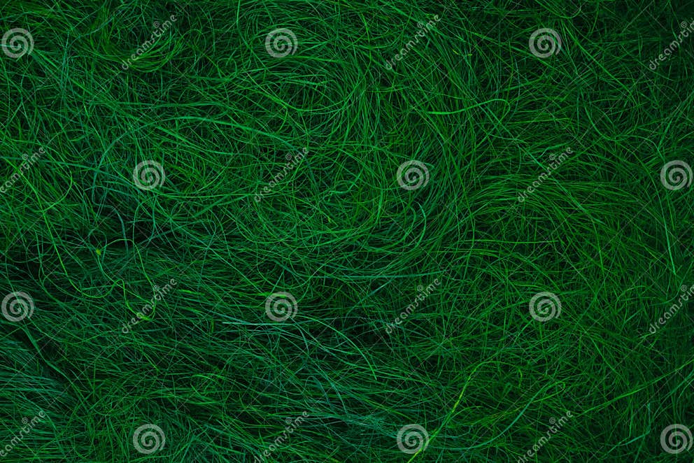 Background Surface Dark Green, Thin and Curled Up Bunch of Straws Stock ...