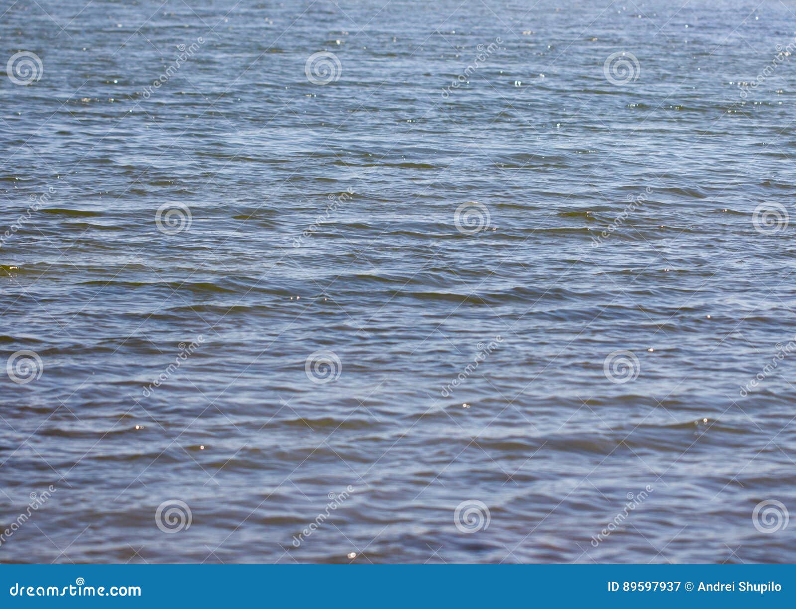Surface Of A Lake With Reflection Of Forest And Andes Mountains In ...