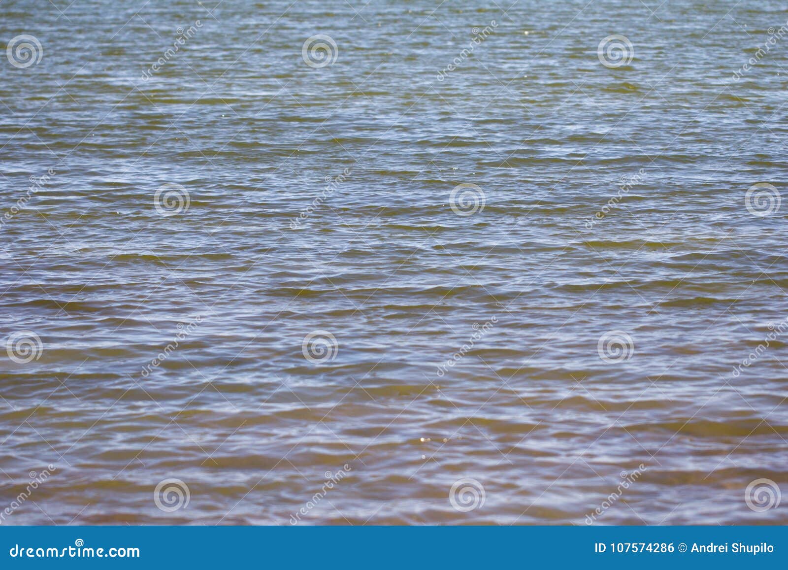 Background of the Surface of the Lake Water Stock Photo - Image of ...