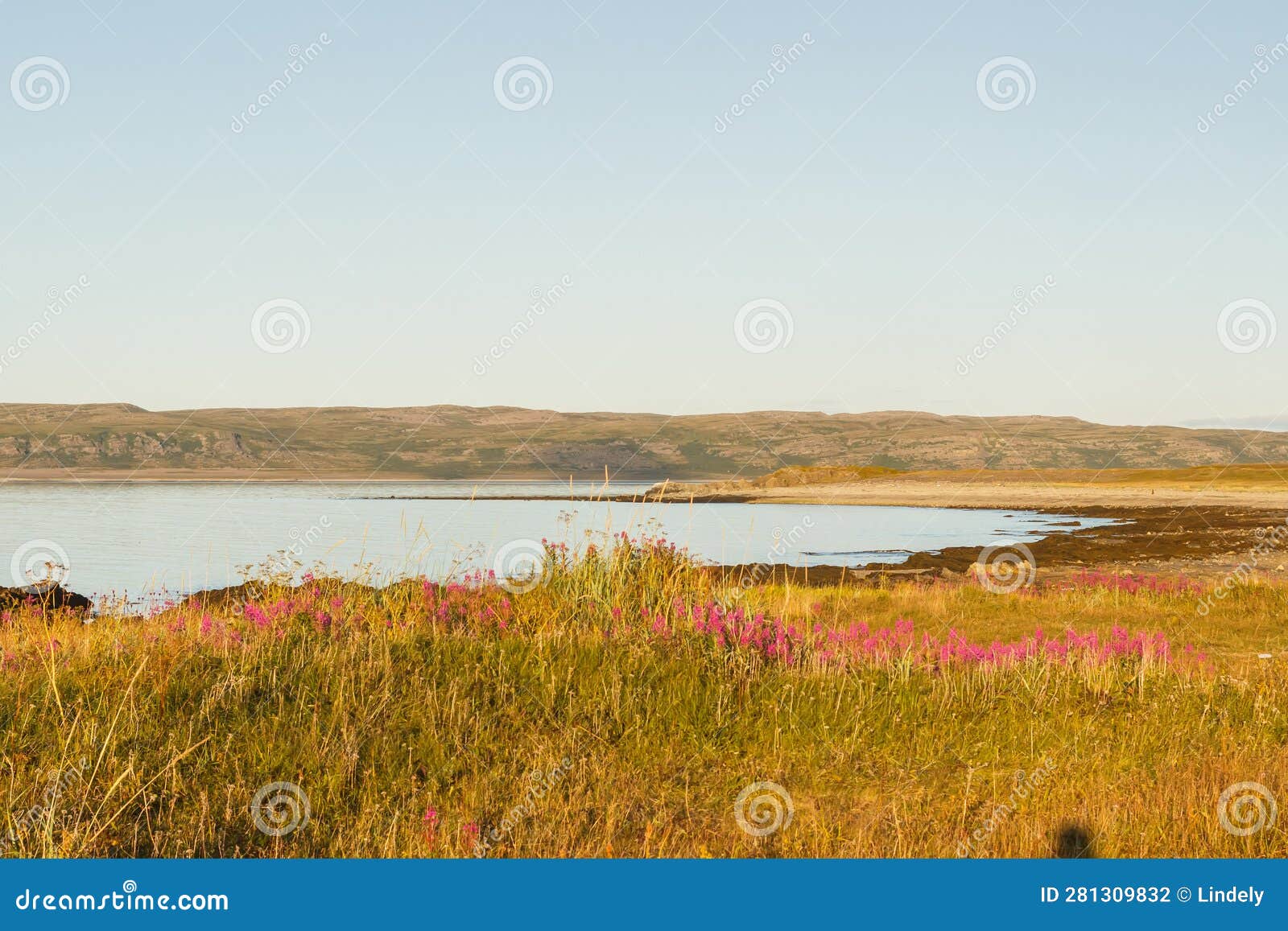 Background of the Surroundings of the Rybachy Peninsula. Barents Sea ...