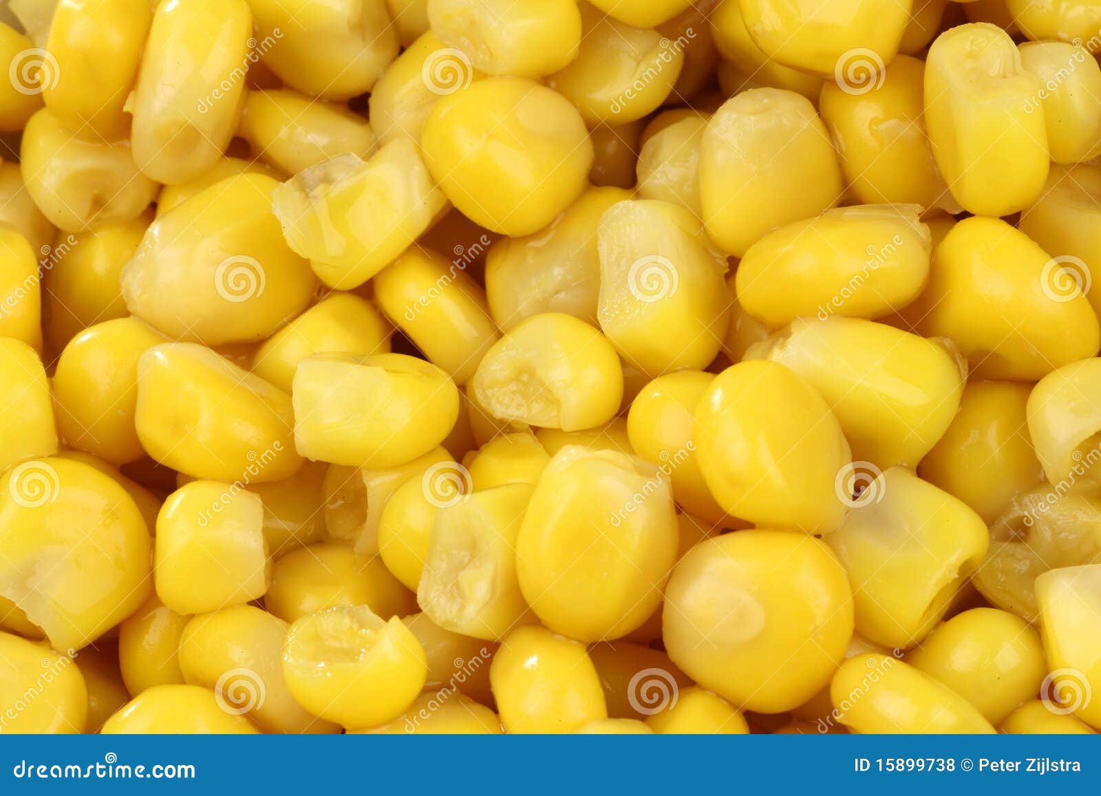 Background of sweet corn stock photo. Image of marinated - 15899738