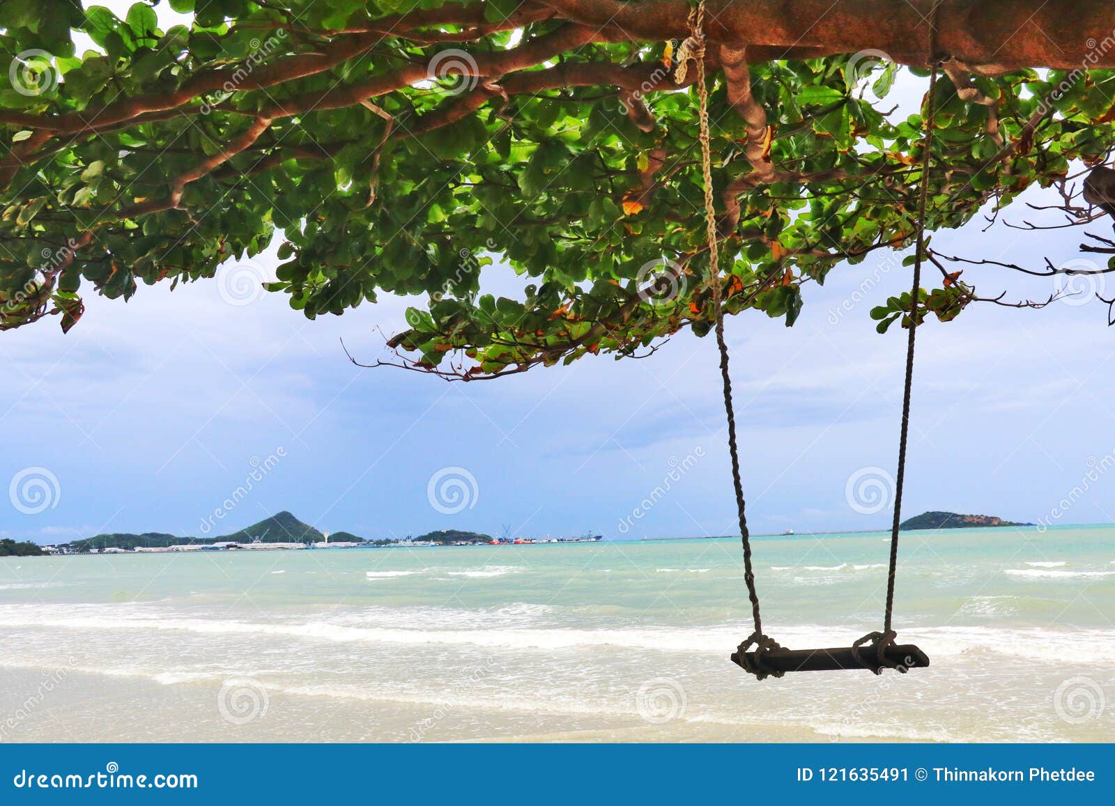 Swing Under a Tree at the Beach Stock Image - Image of beach, swing ...