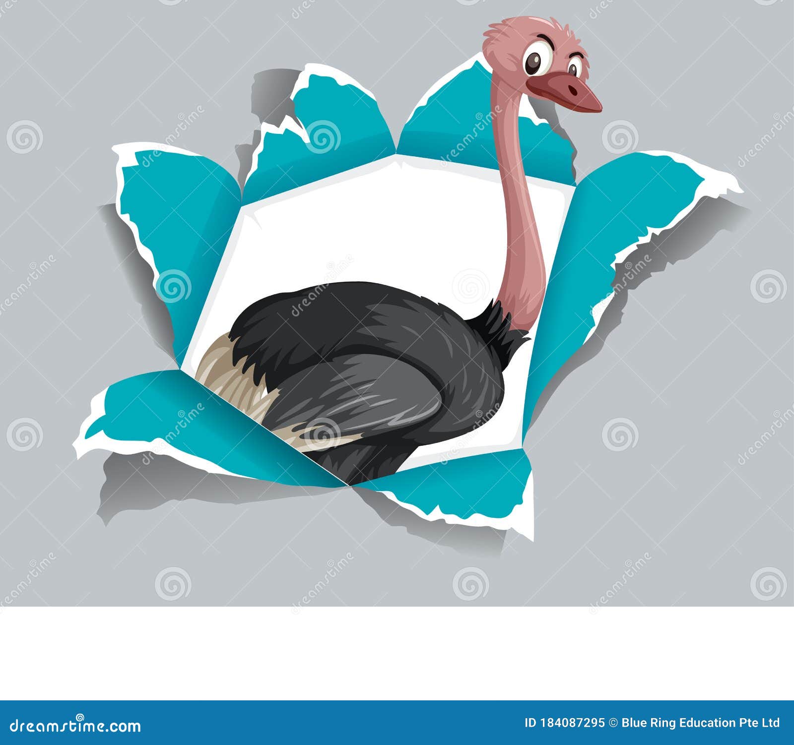 Background Template Design with Wild Ostrich Running Stock Vector ...