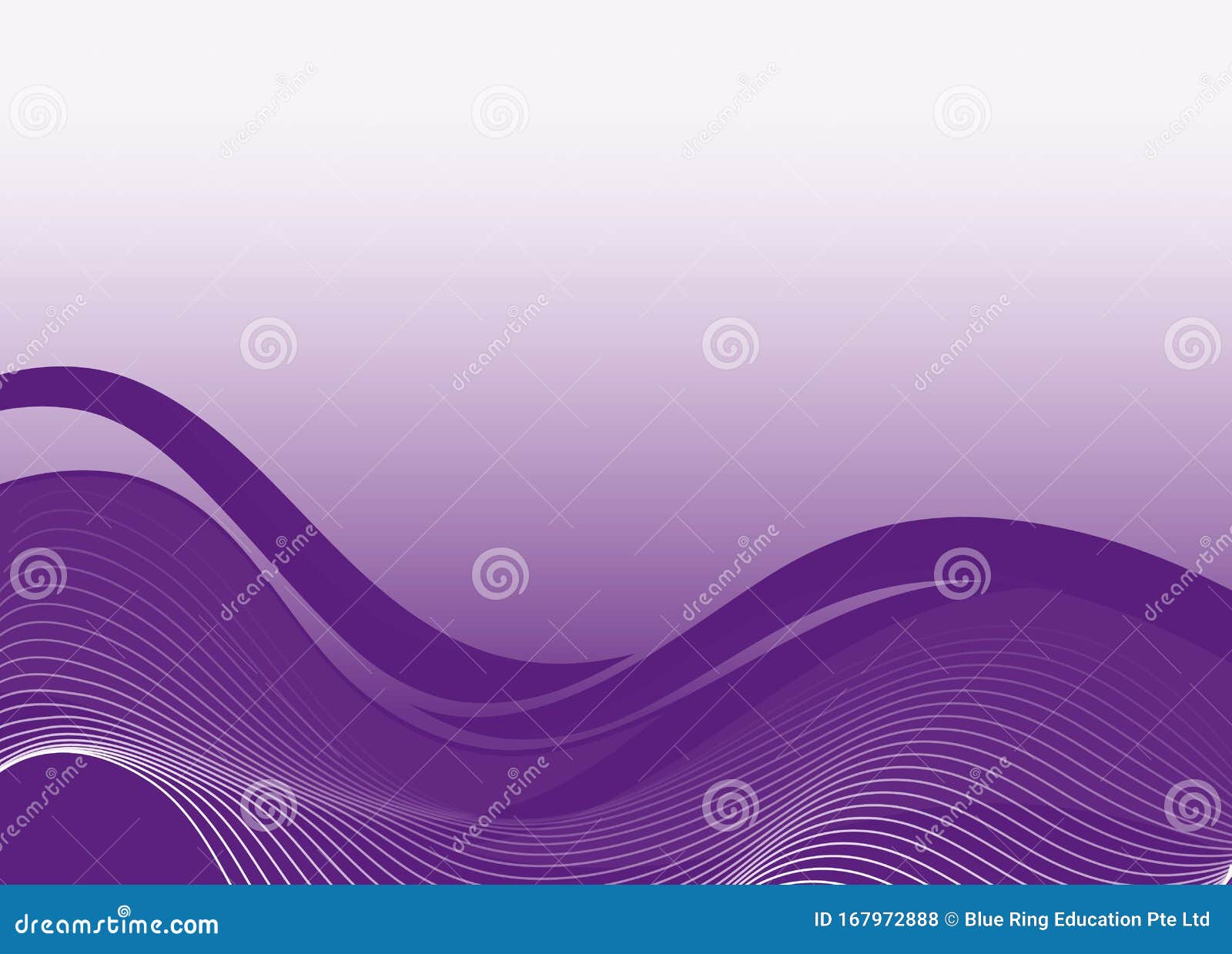 Background Template with Purple Line Stock Vector - Illustration of ...
