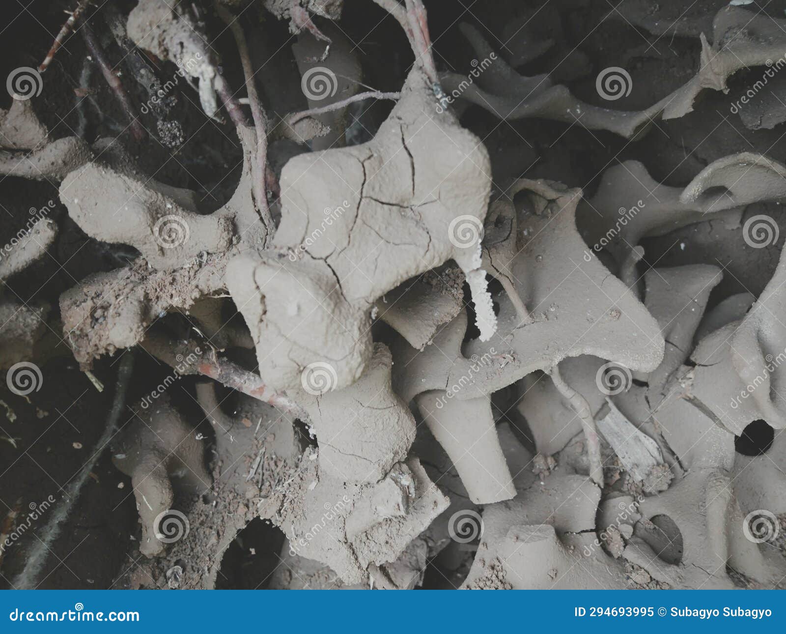 Background of Termite Nests in Clay Soil in the Garden Stock Image ...
