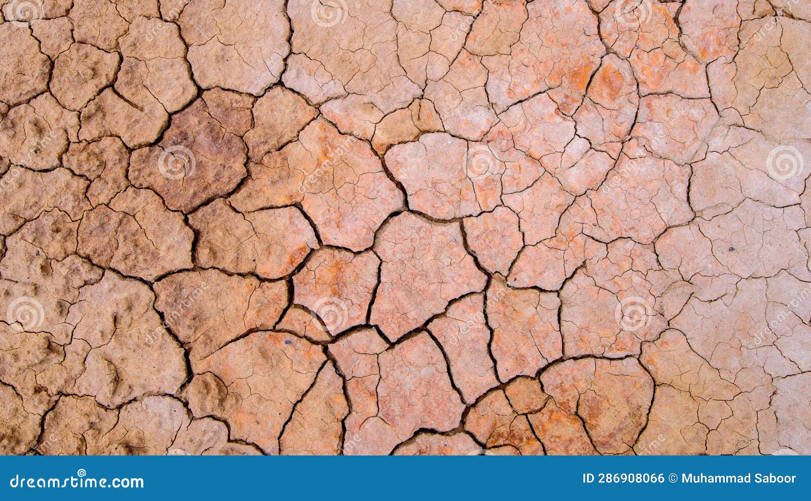 Dried Mud Bottom, Cracked Dirt Background in 4K Beauty and Remarkable ...