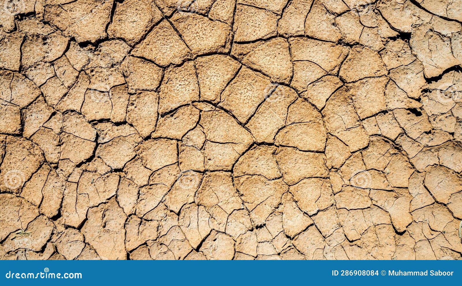 Dried Mud Bottom, Cracked Dirt Background in 4K Beauty and Remarkable ...