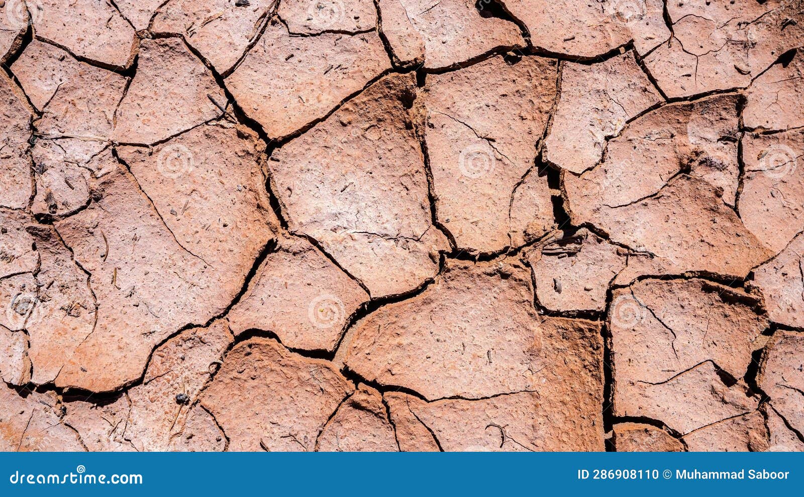 Dried Mud Bottom, Cracked Dirt Background in 4K Beauty and Remarkable ...