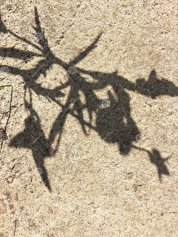 Midday shadow stock image. Image of shadow, midday, background - 120771867