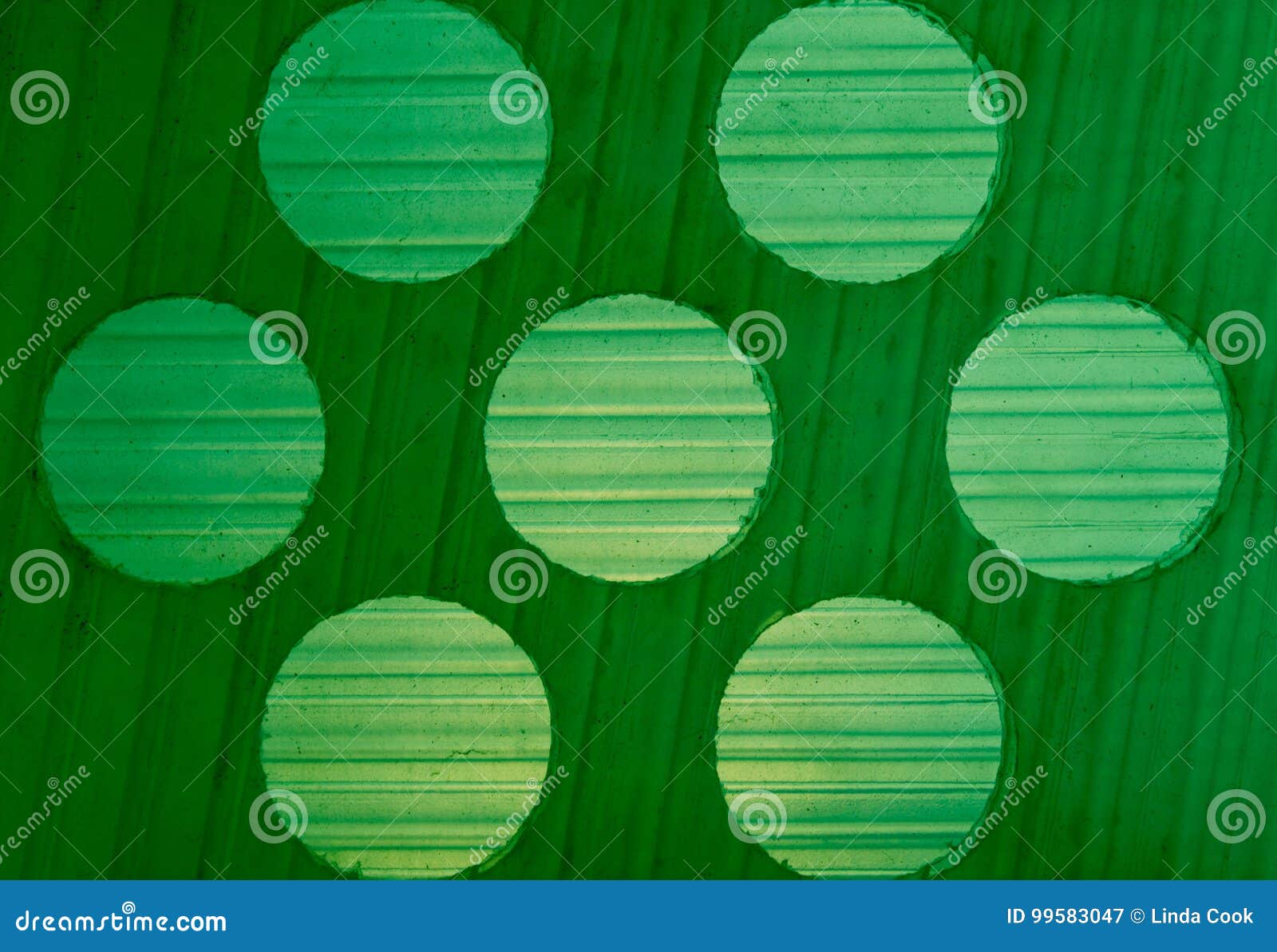 Background Texture Gradations and Circle Pattern on Green Plastic Stock ...