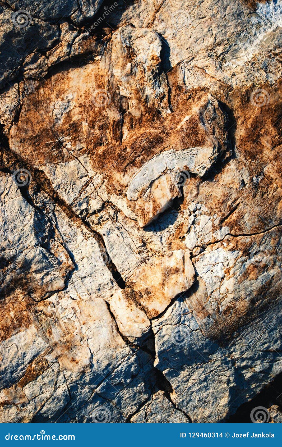 Abstract Surface of an Ancient Rock Limestone Stock Photo - Image of ...
