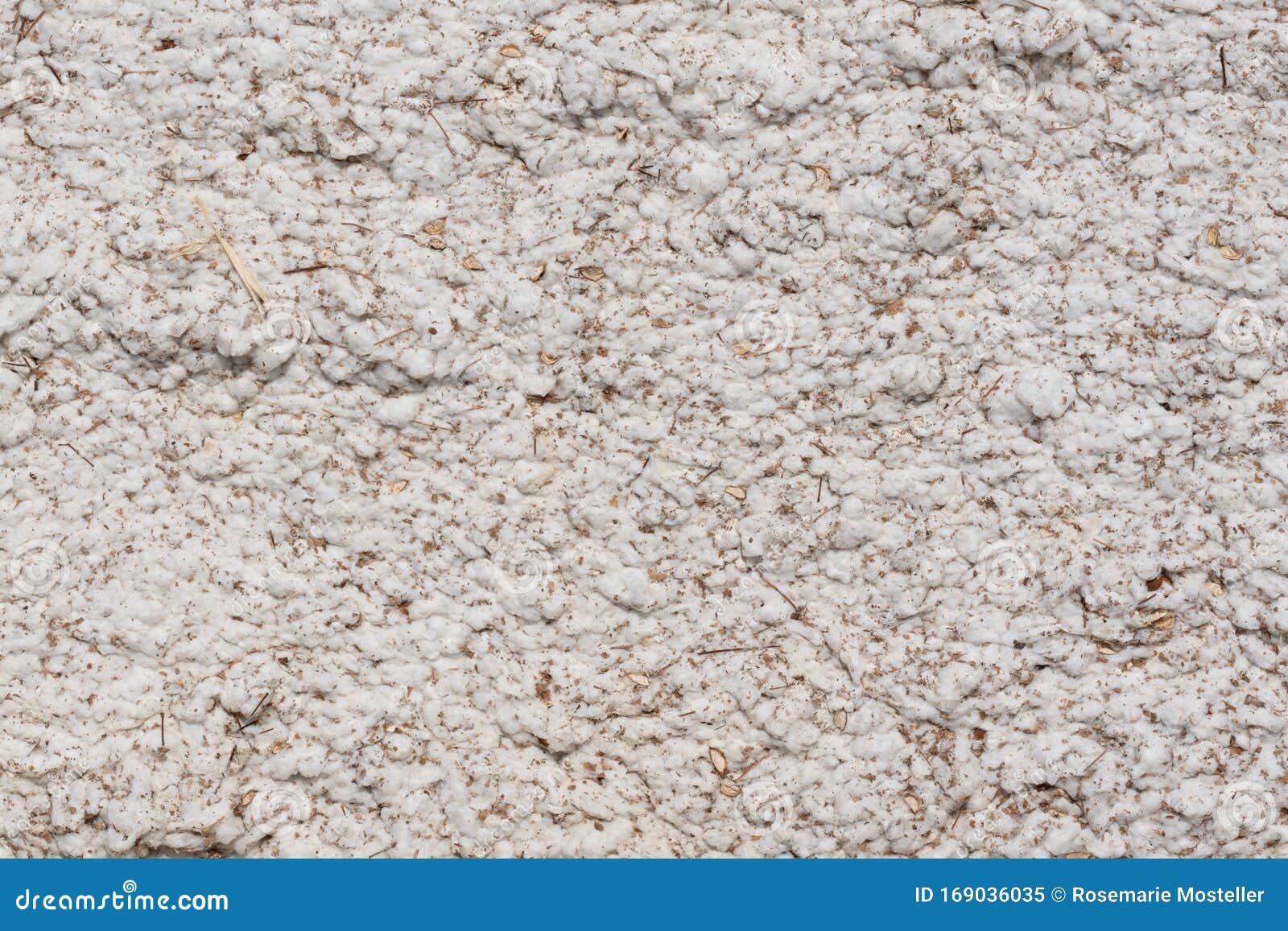 Background Texture of a Bale of White Cotton Freshly Picked Stock Image ...