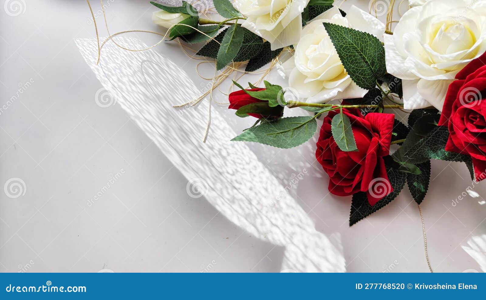 Background and Texture with Beautiful White and Red Roses with Light ...
