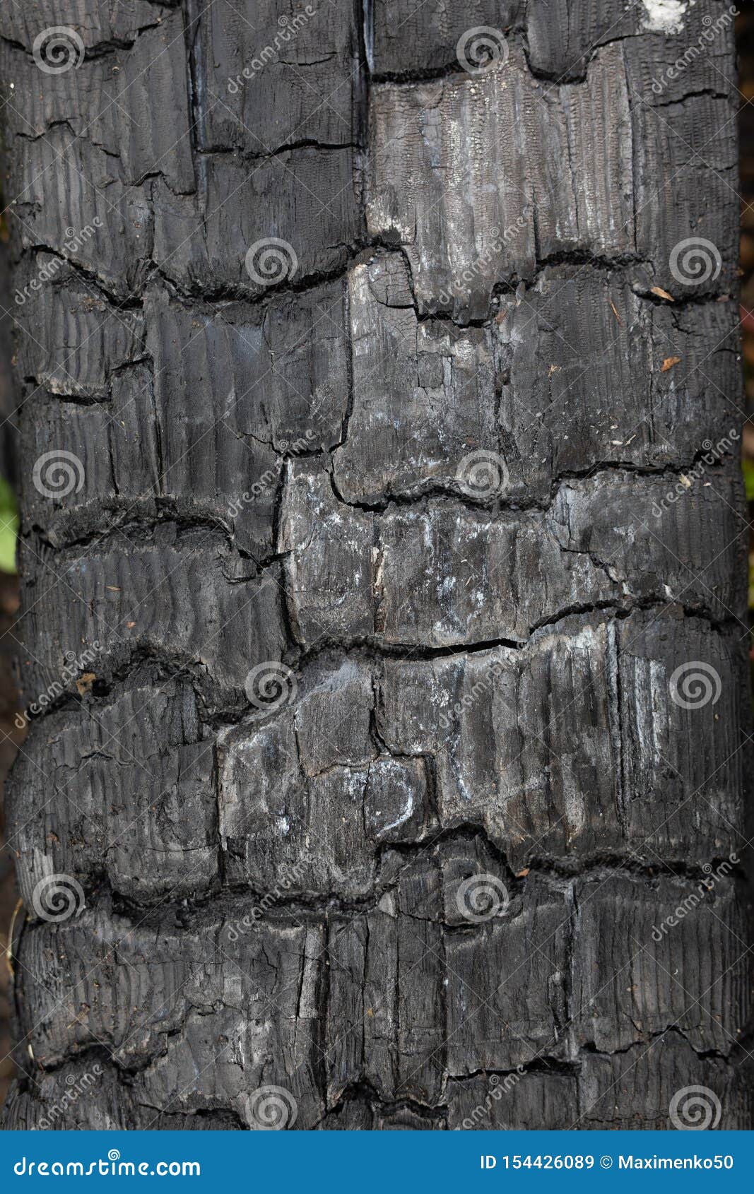 Background, Backdrop, Texture Black Charred Timber, Wood, Coal after ...