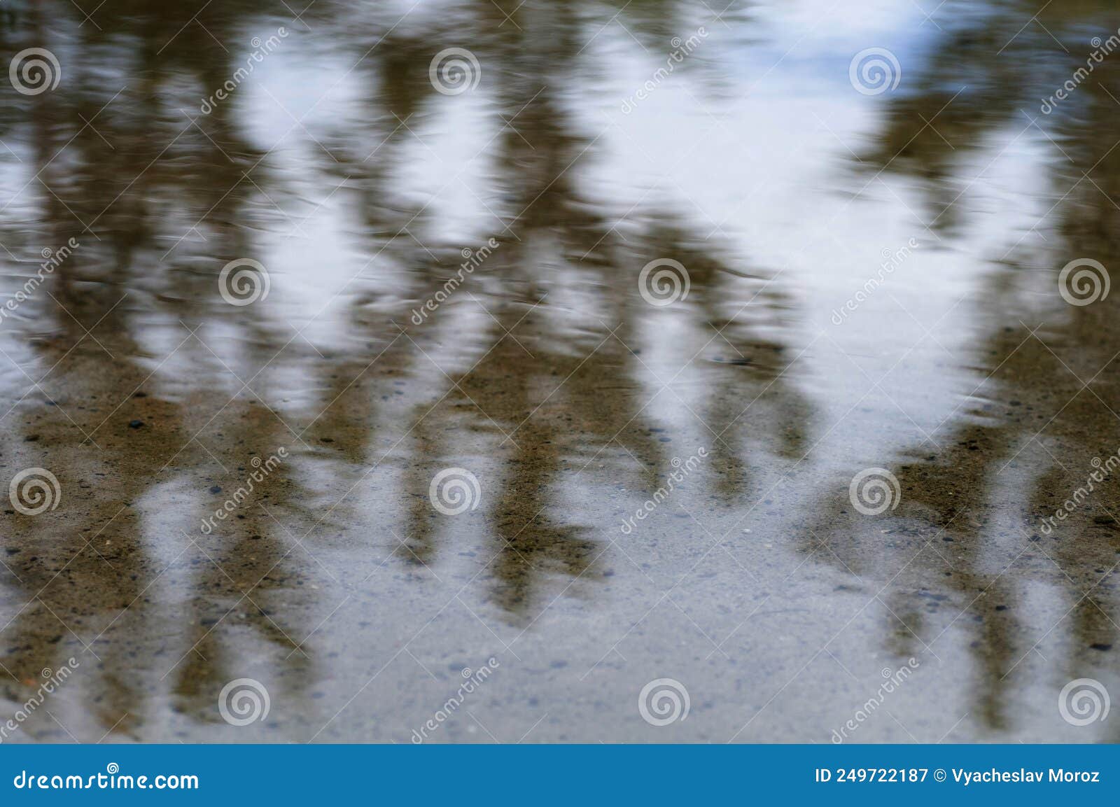 Background Texture Blurred Reflection in a Puddle of Trees and Sky. Aft ...