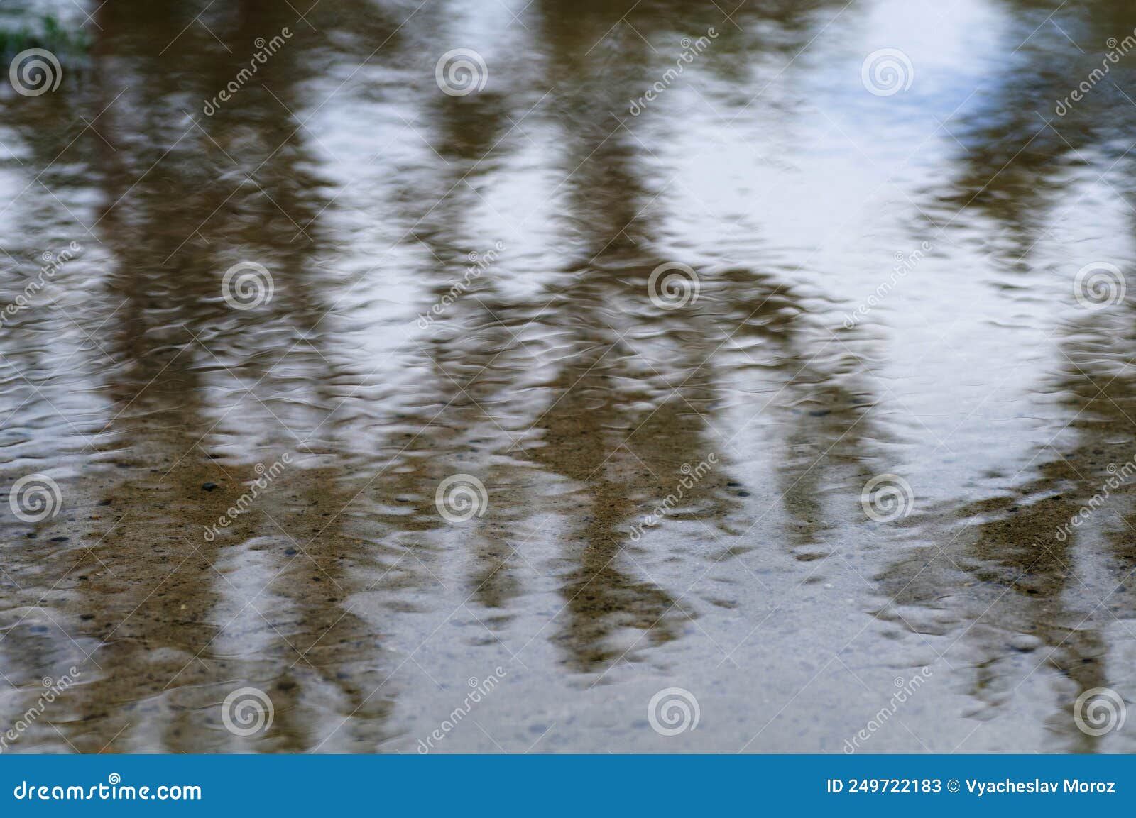 Background Texture Blurred Reflection in a Puddle of Trees and Sky. Aft ...