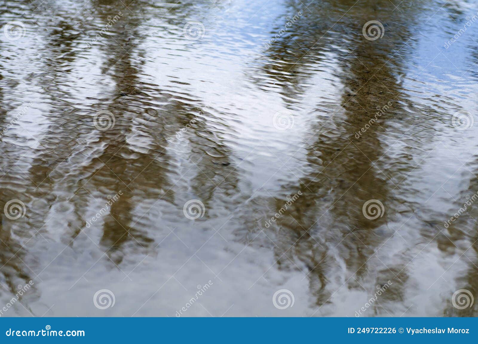 Background Texture Blurred Reflection in a Puddle of Trees and Sky. Aft ...