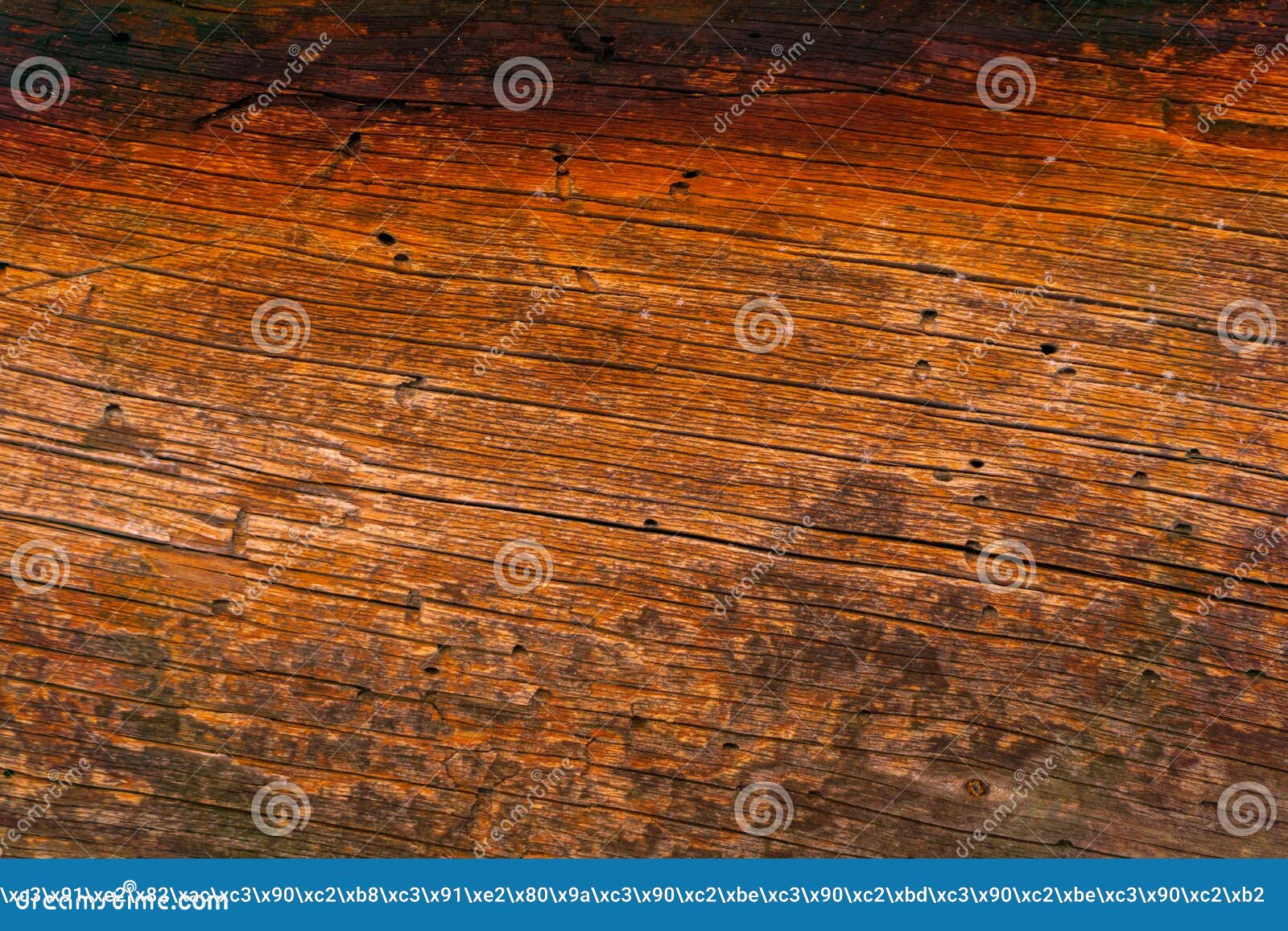 Background Texture - Weathered Log Surface with Snowflakes Stock Image ...
