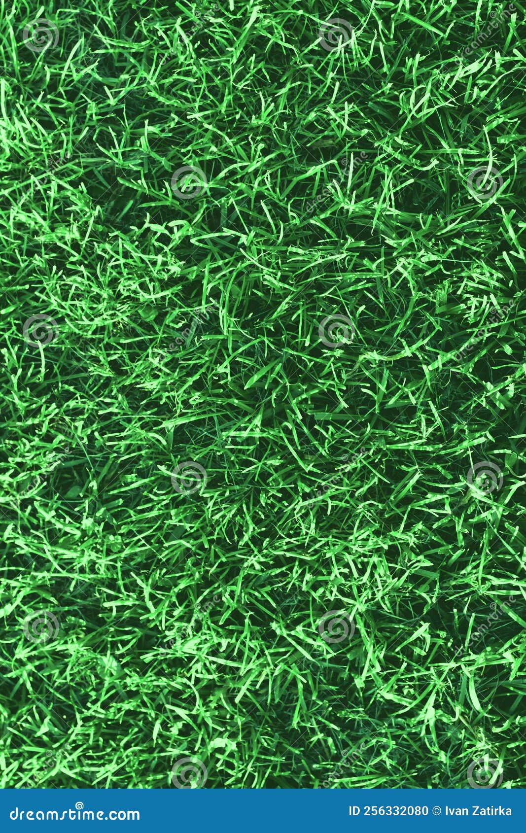 Background and Texture of Bright Thick Grass. Stock Photo - Image of ...