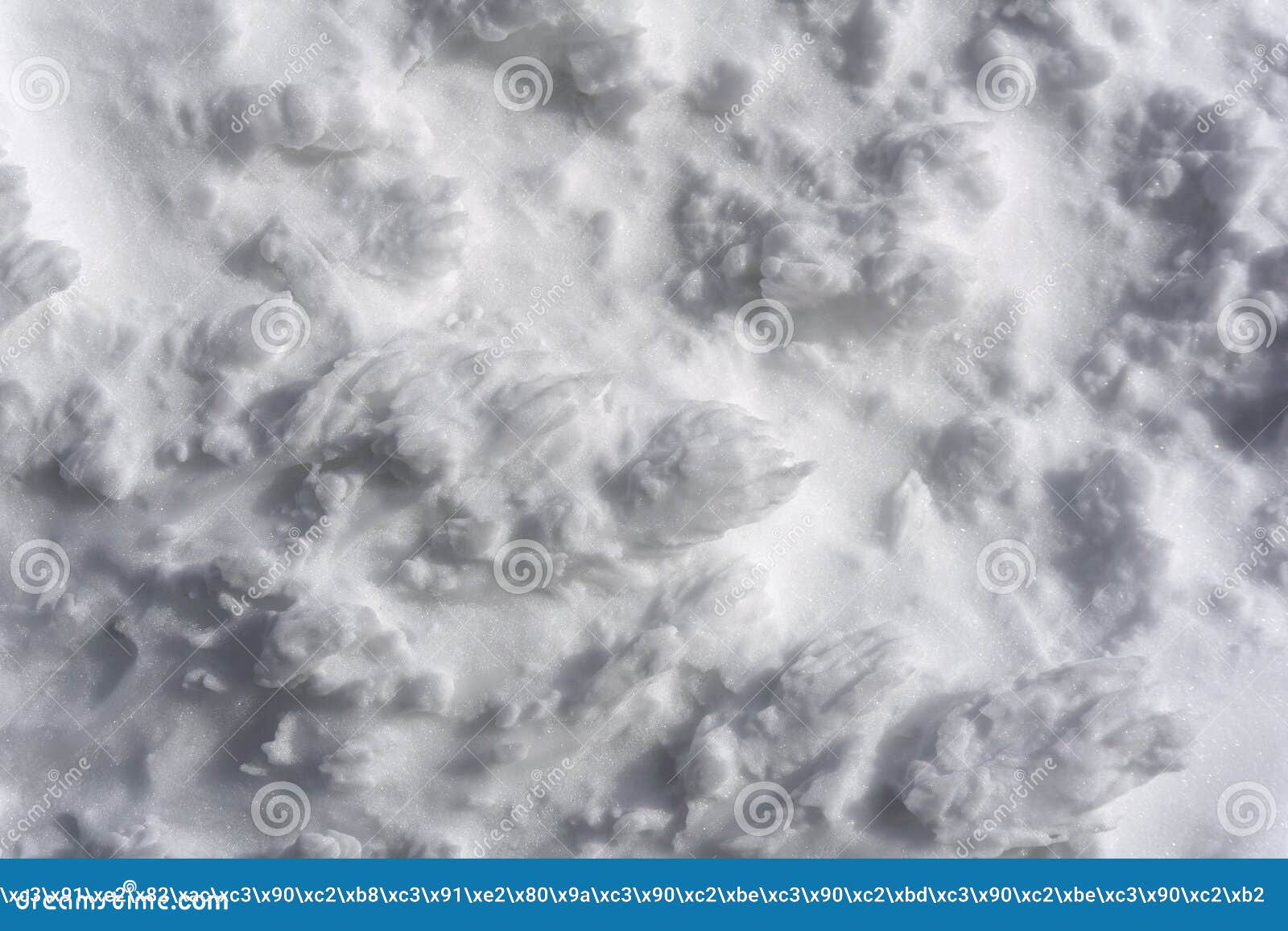 Background, Texture - a Surface of a Mountain Firn Stock Image - Image ...