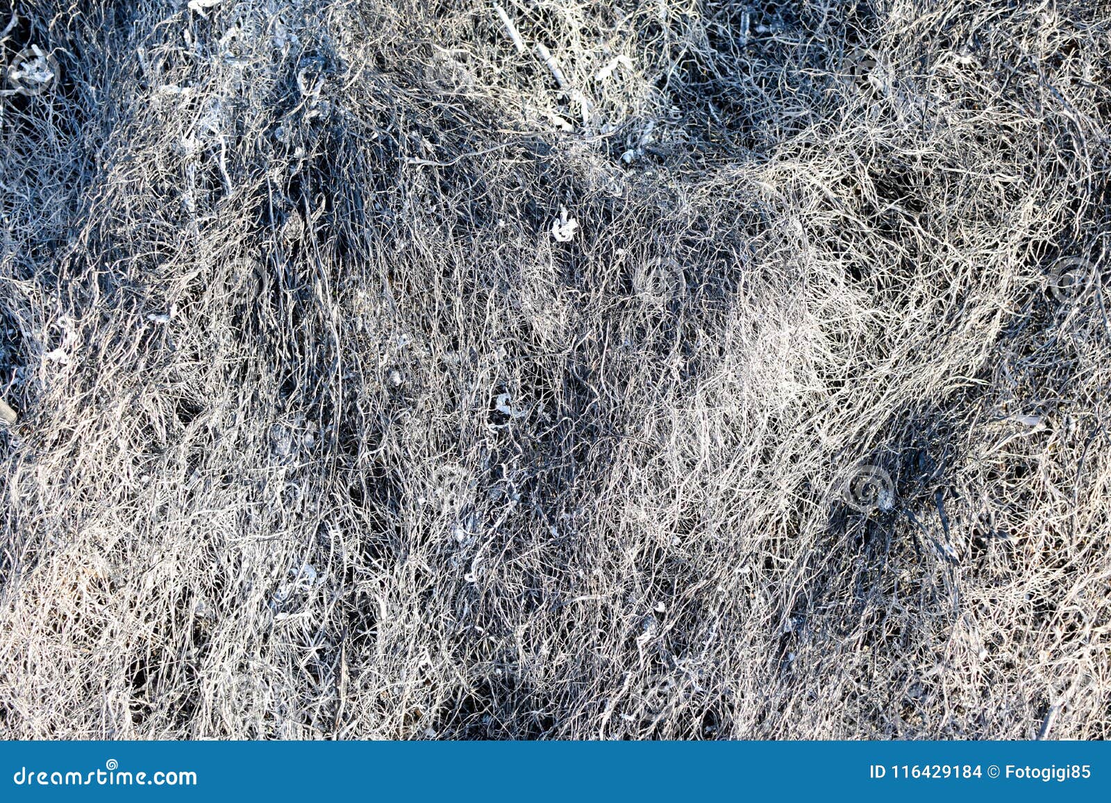 Background Texture Burnt Grass, Ash Grass. Stock Photo - Image of heat ...
