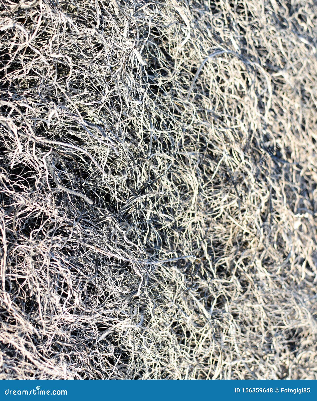 Background Texture Burnt Grass, Ash Stock Photo - Image of environment ...