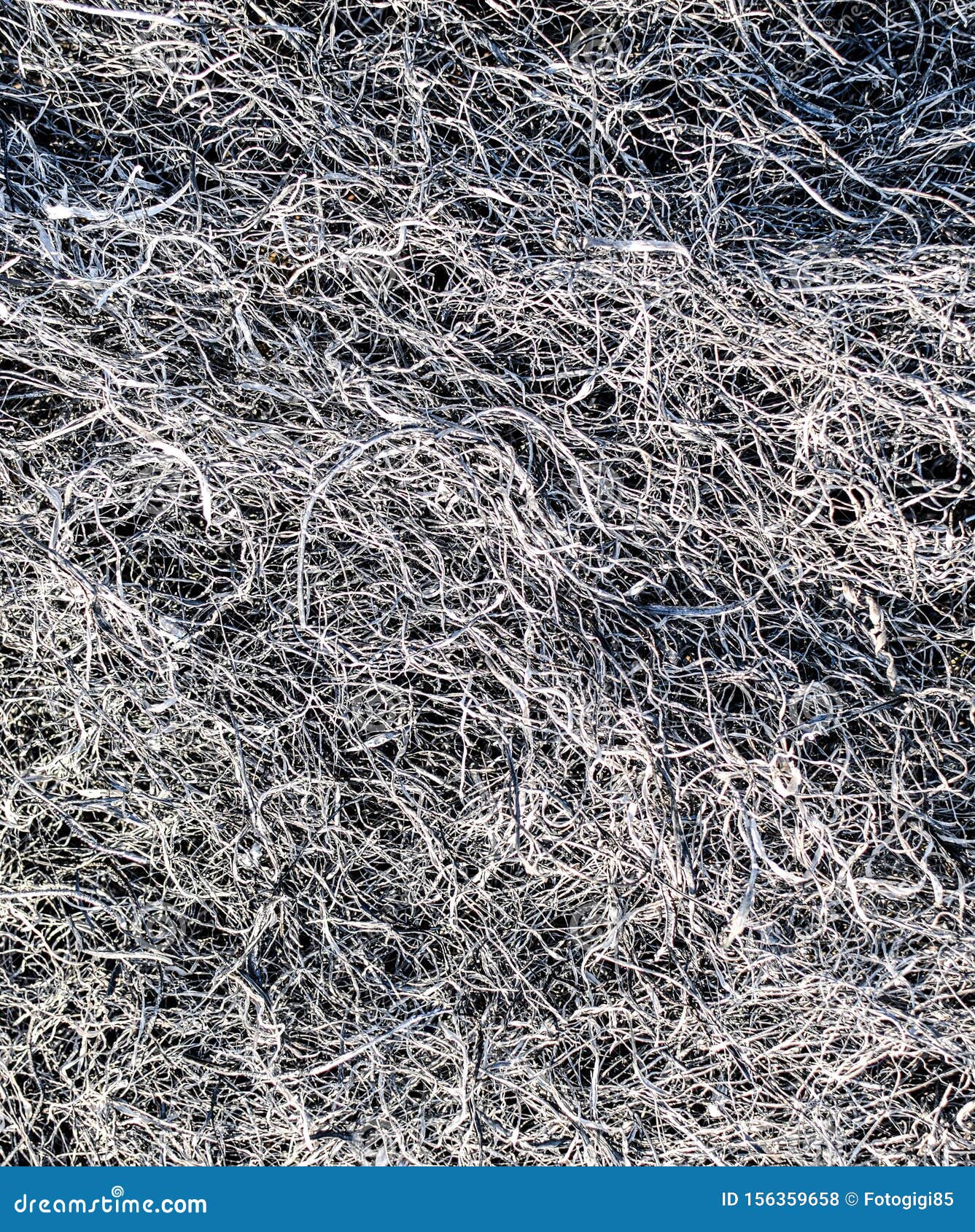 Background Texture Burnt Grass, Ash Stock Photo - Image of natural ...