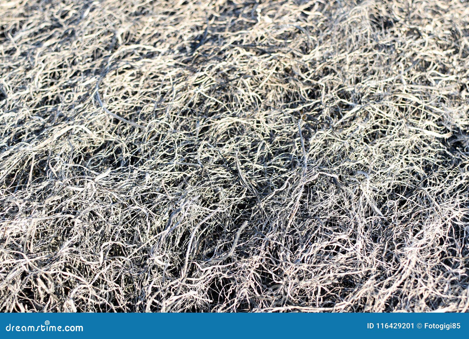 Background Texture Burnt Grass, Ash Grass. Stock Image - Image of ...