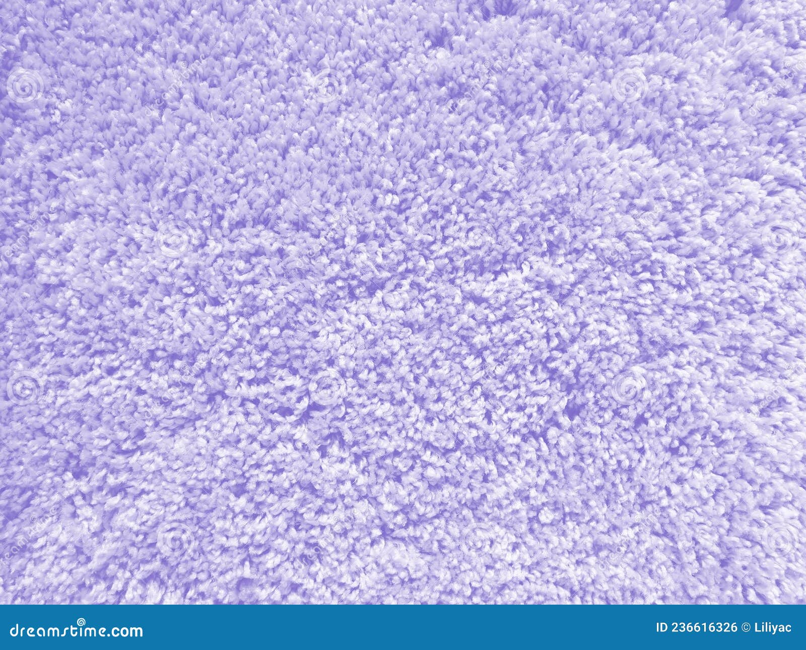 Background Texture Carpet Purple for Design Stock Photo - Image of ...