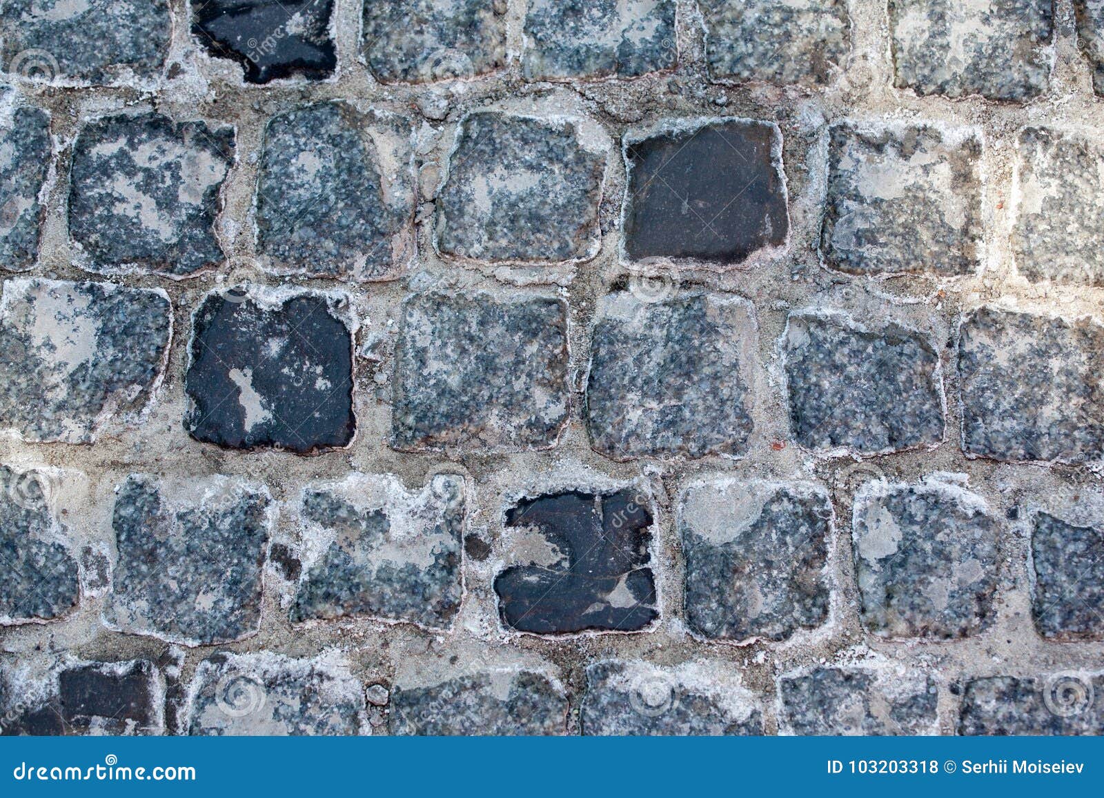 Cobbled pavement stock photo. Image of pattern, cement - 103203318