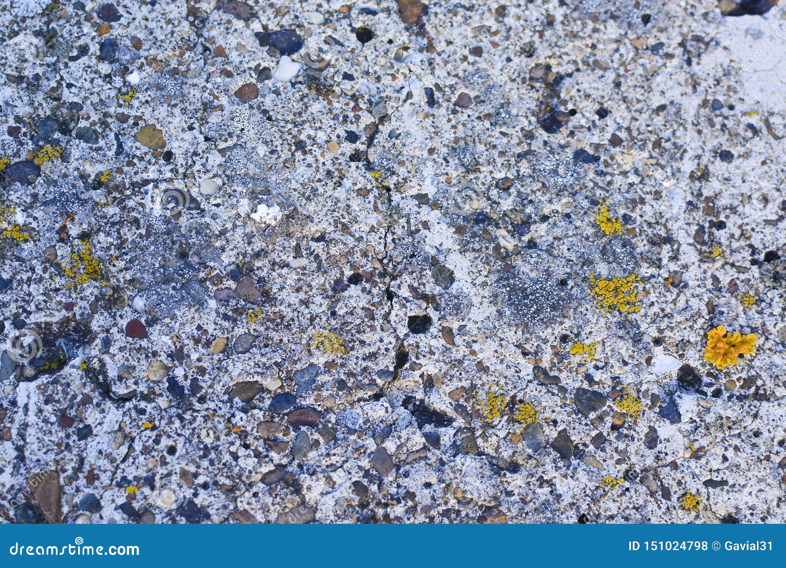 Background Texture of Concrete. Rough Surface Stock Photo - Image of ...