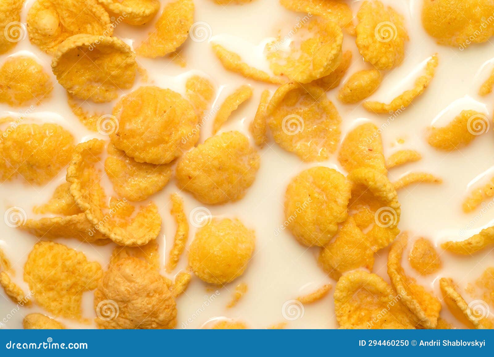 Background and Texture of Corn Flakes with Milk. Morning Breakfast ...