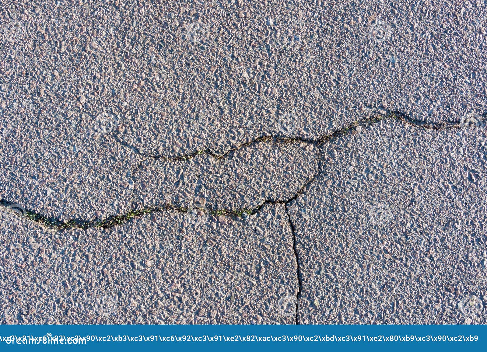 Background Texture of a Crack on a Road Surface Close-up in the Stock ...