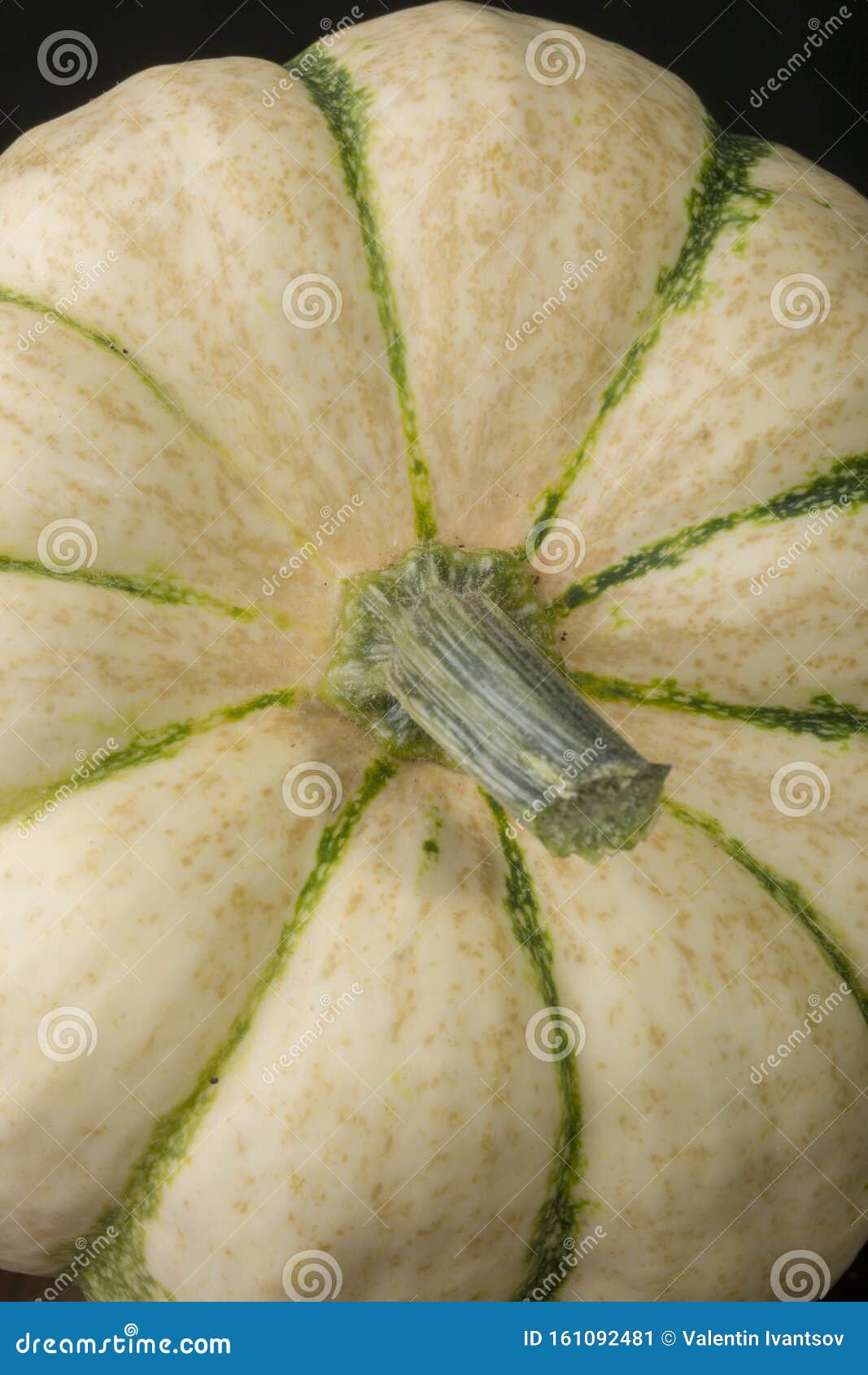Background and Texture of Decorative Pumpkin Stock Image - Image of ...