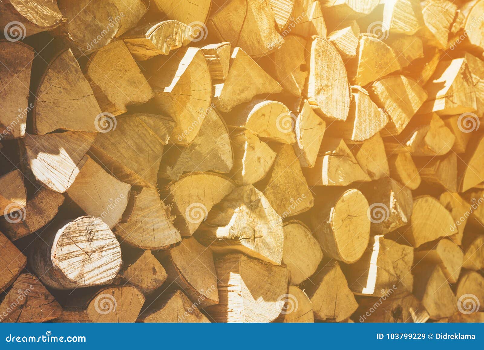 Background Texture of Dried Cut and Split Logs Stock Image - Image of ...