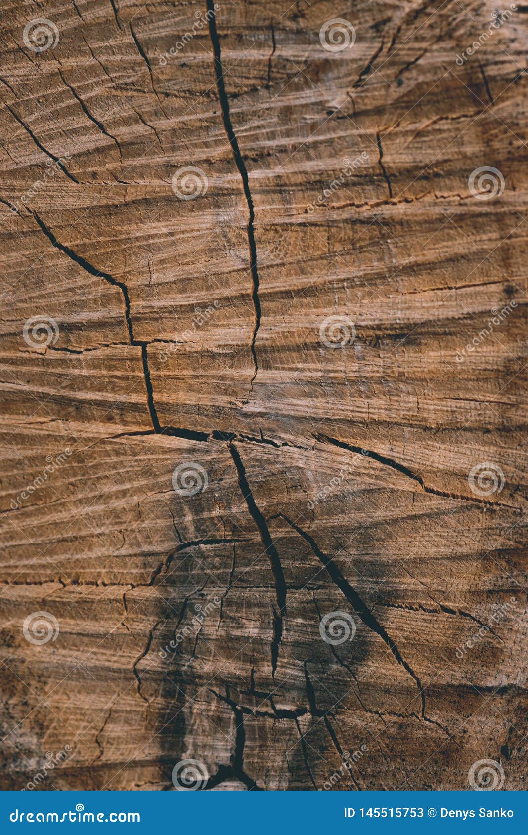 Background Texture of a Felled Tree Cracked Stripes and Stains Stock ...