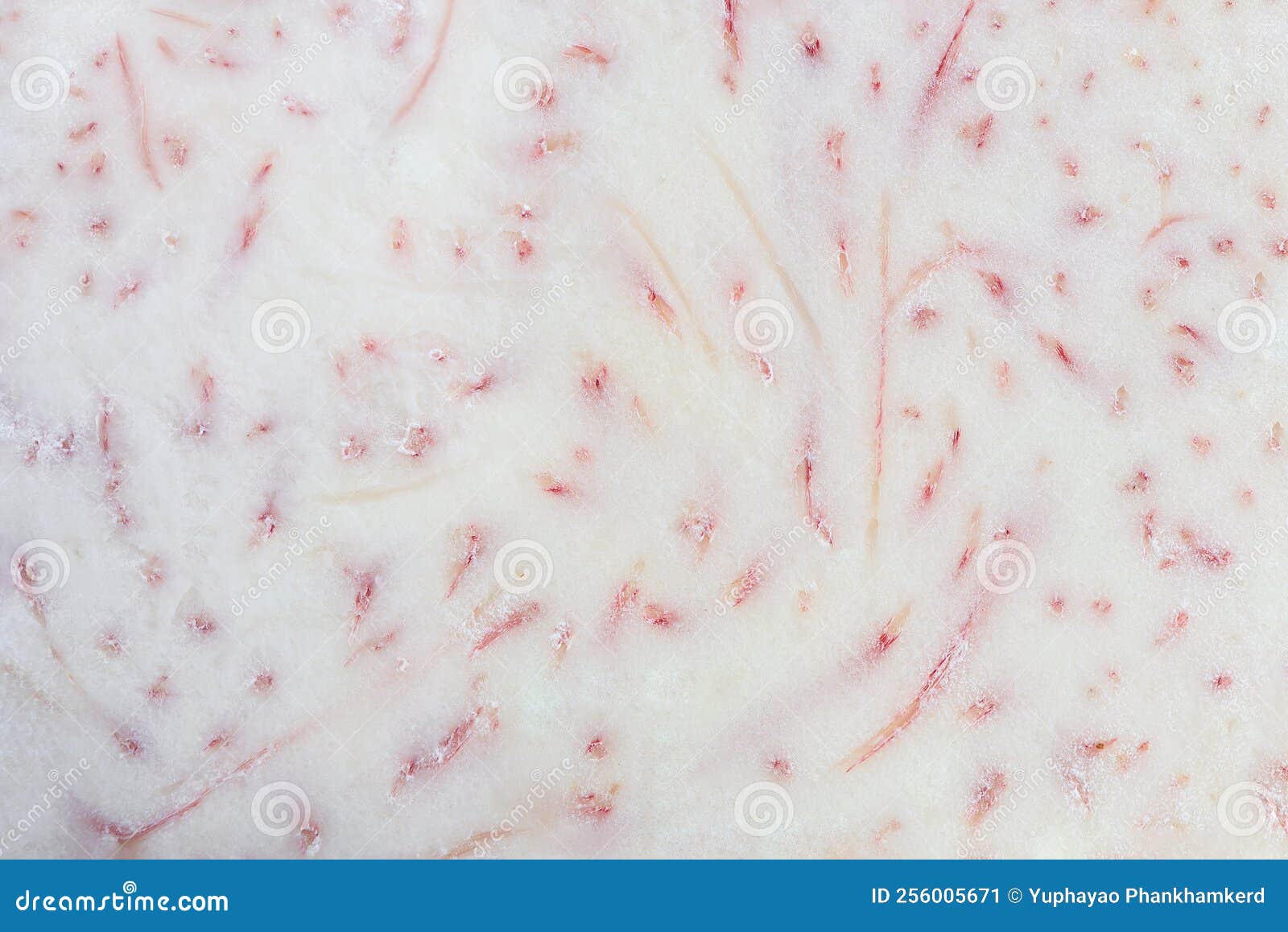 Background Texture of a Fresh Taro. Close Up of Taro Sliced in Half ...