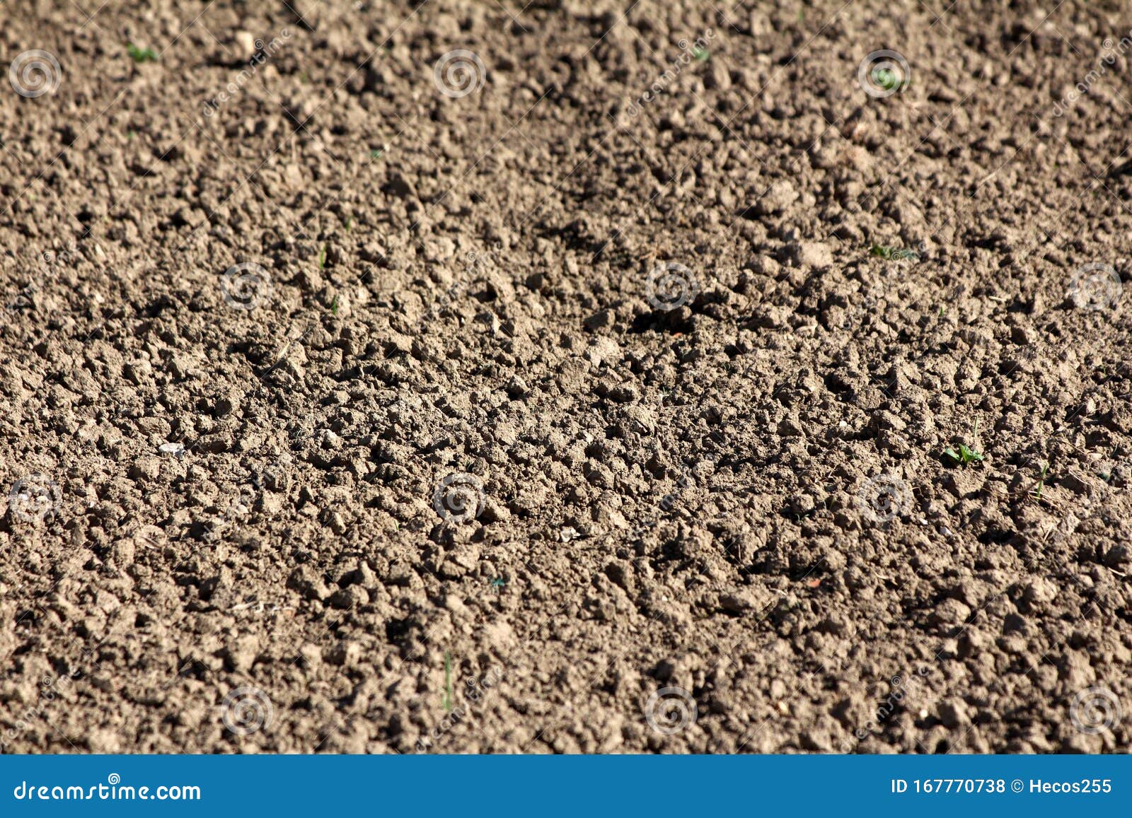 Background Texture of Freshly Plowed Field after Using Harrows Stock ...