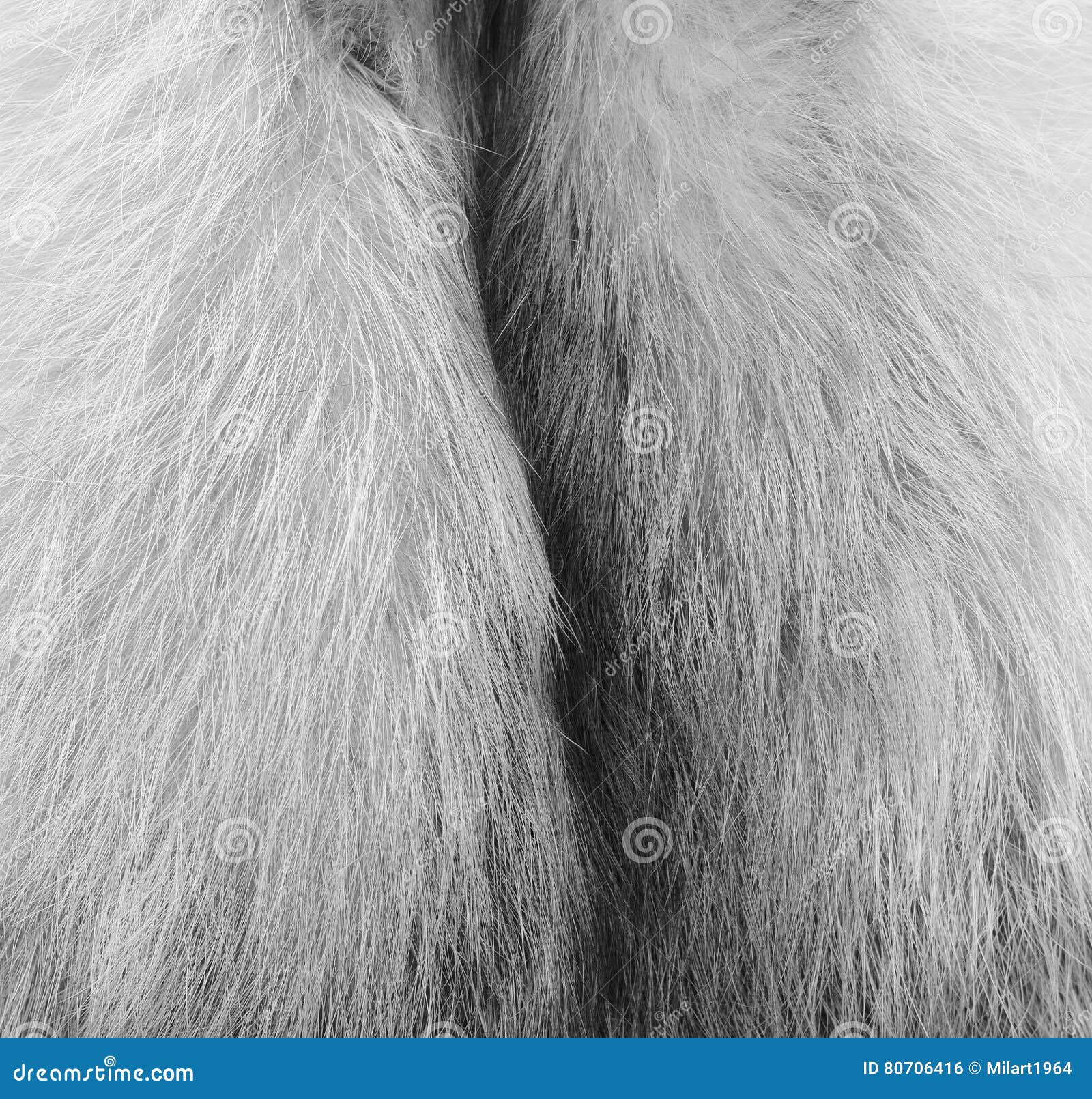 Background - Texture of Fur. Stock Photo - Image of decor, fashion ...