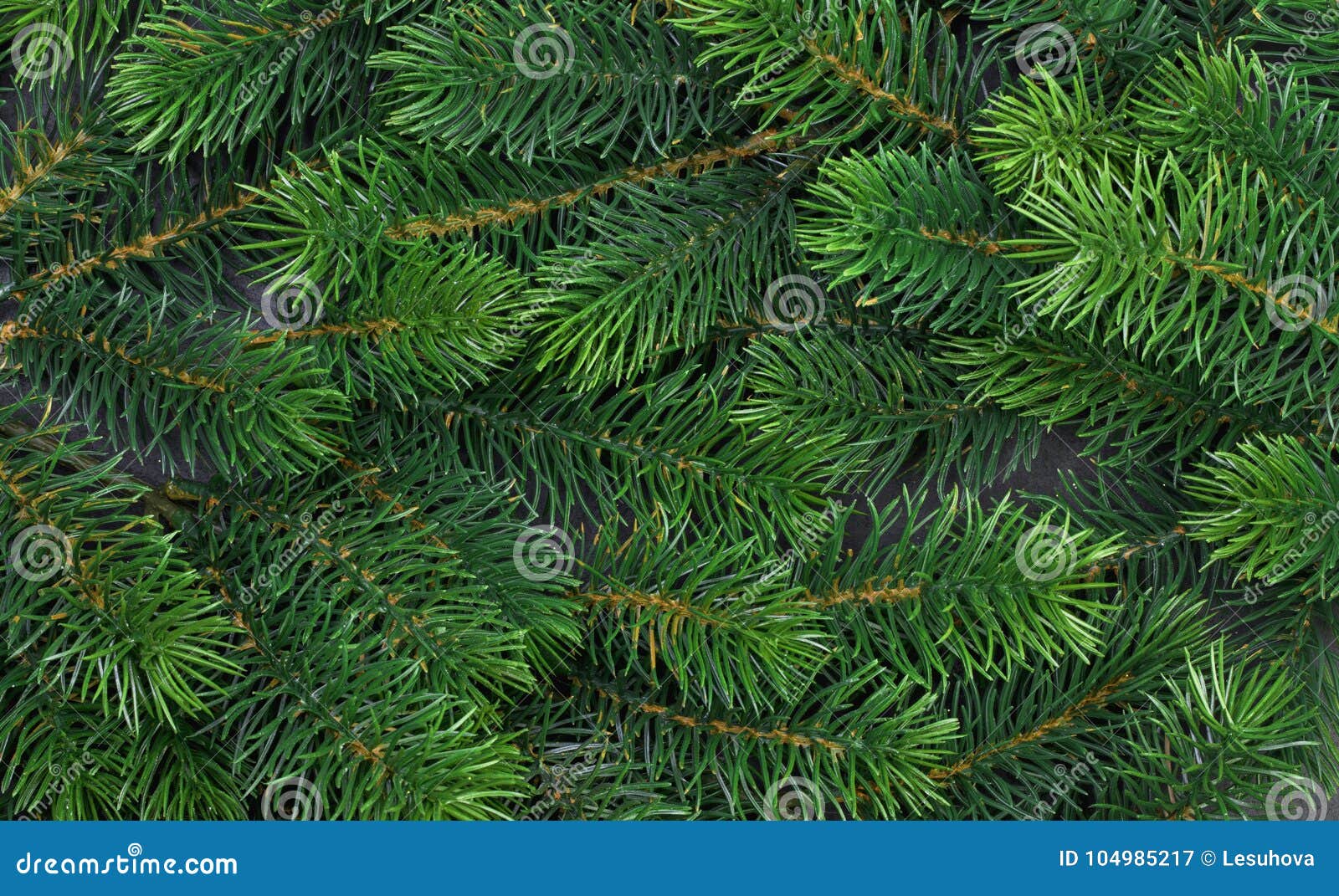 Texture Furry Tree Branches Stock Image - Image of flora, black: 104985217