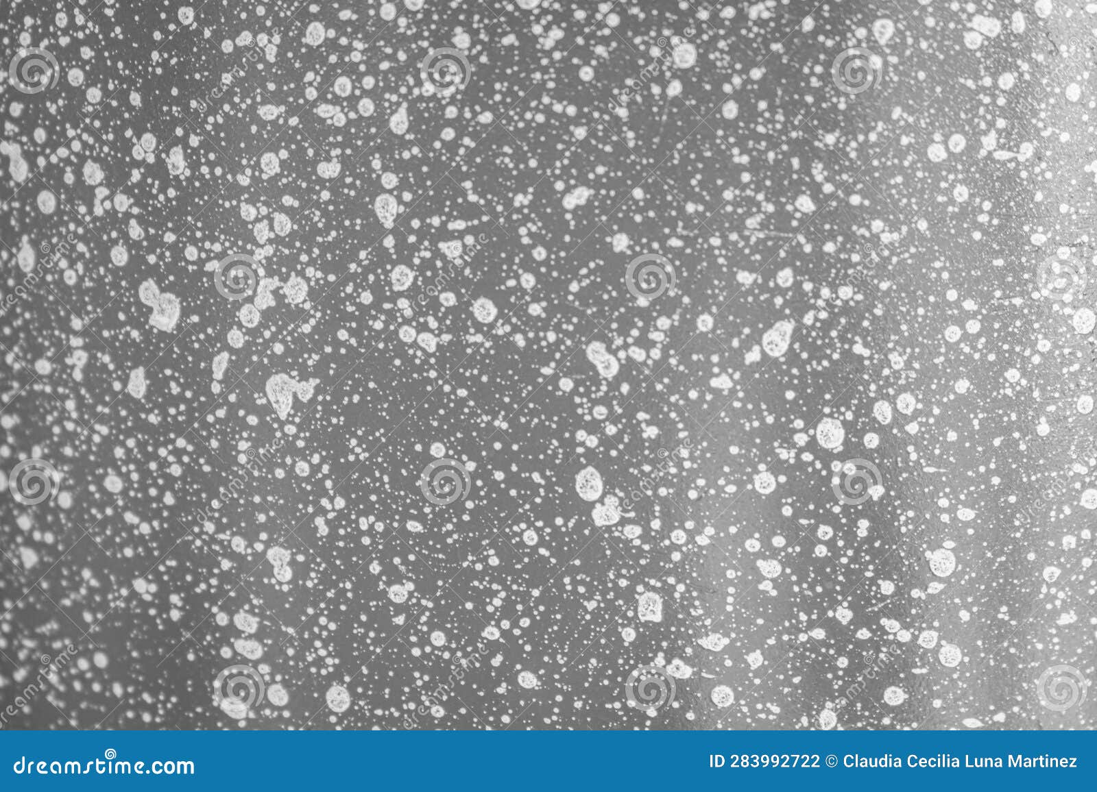 Background and Texture of Gray Granite with White Spots Stock Photo ...