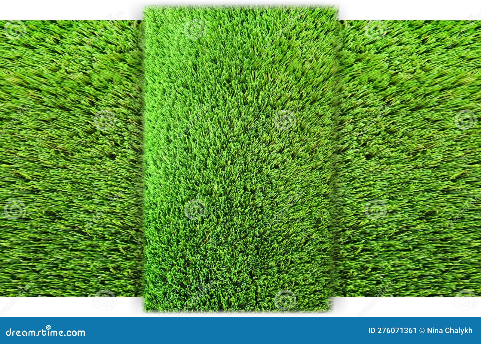 Background, Texture, Green Grass. Template, Blank for Design, Text ...