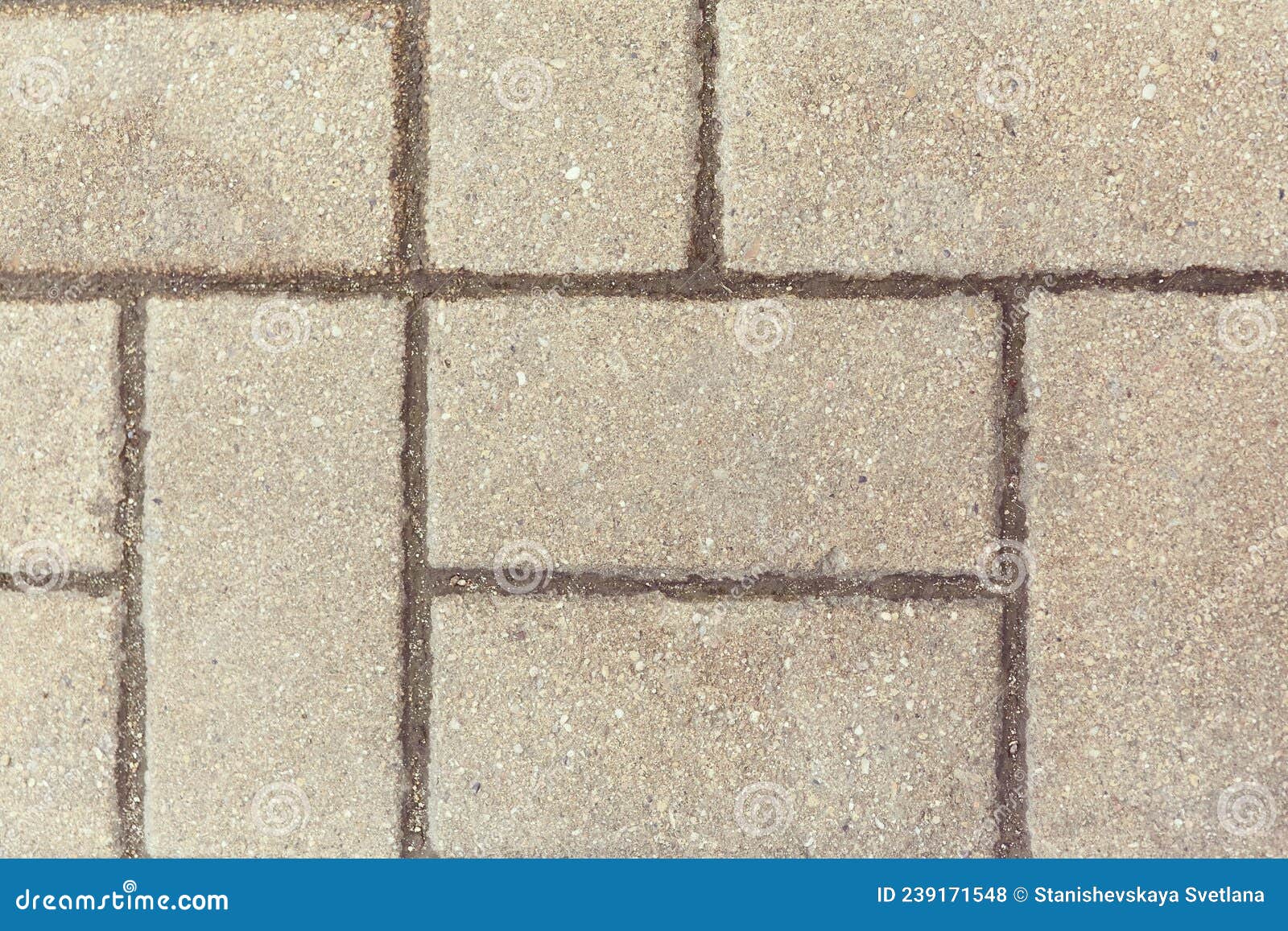 Background and Texture. Grey Paving Slabs Stock Photo - Image of ground ...