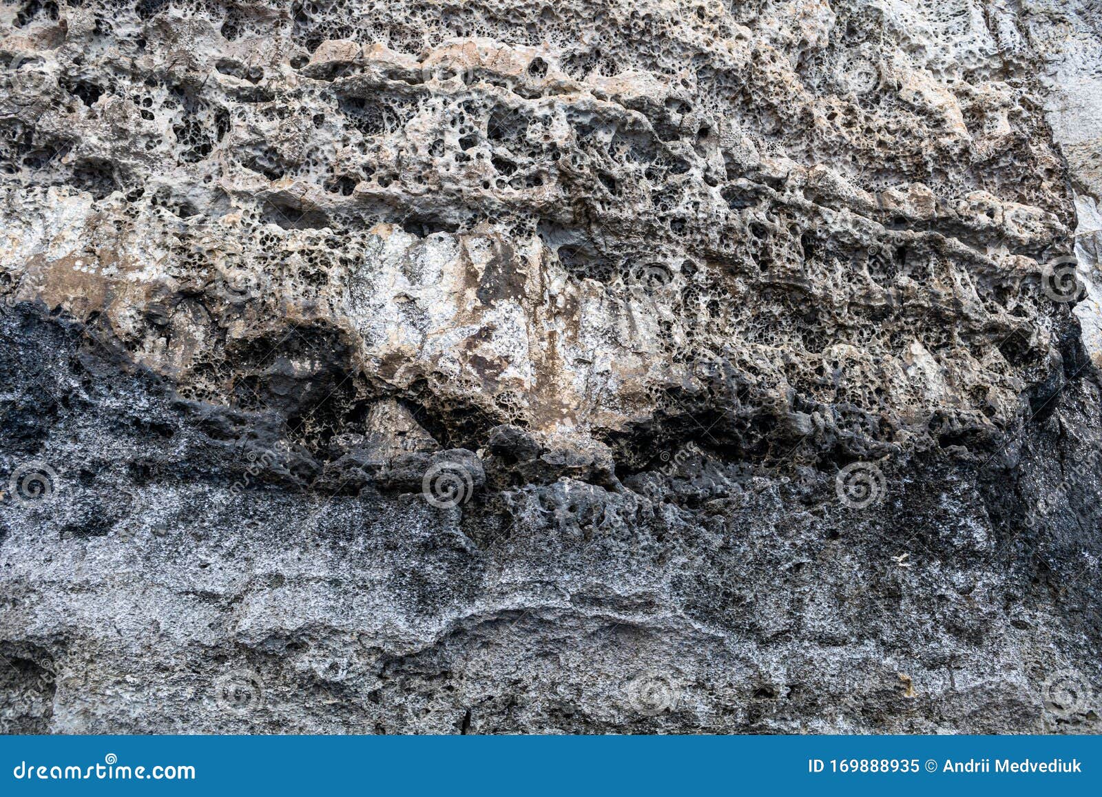 Background, Texture of Grey Rock. Texture, Background of Shell Rock ...