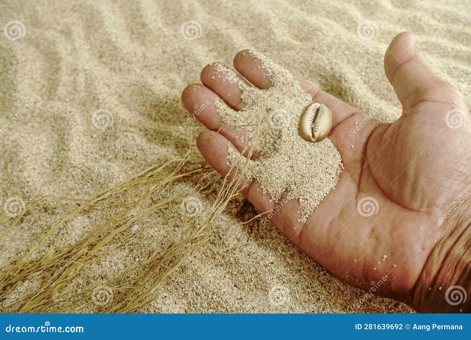Background Texture of Hand Holding Sand on the Beach. Stock Photo ...