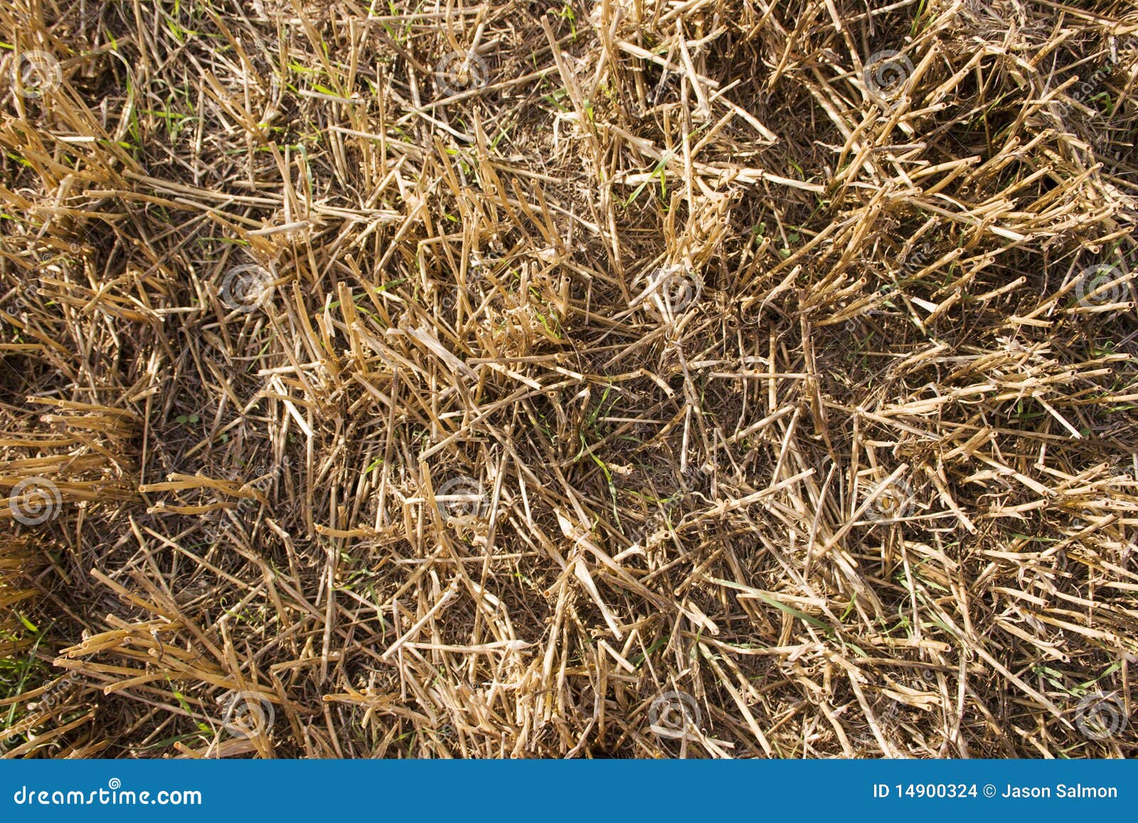 Background texture of hay stock photo. Image of concept - 14900324