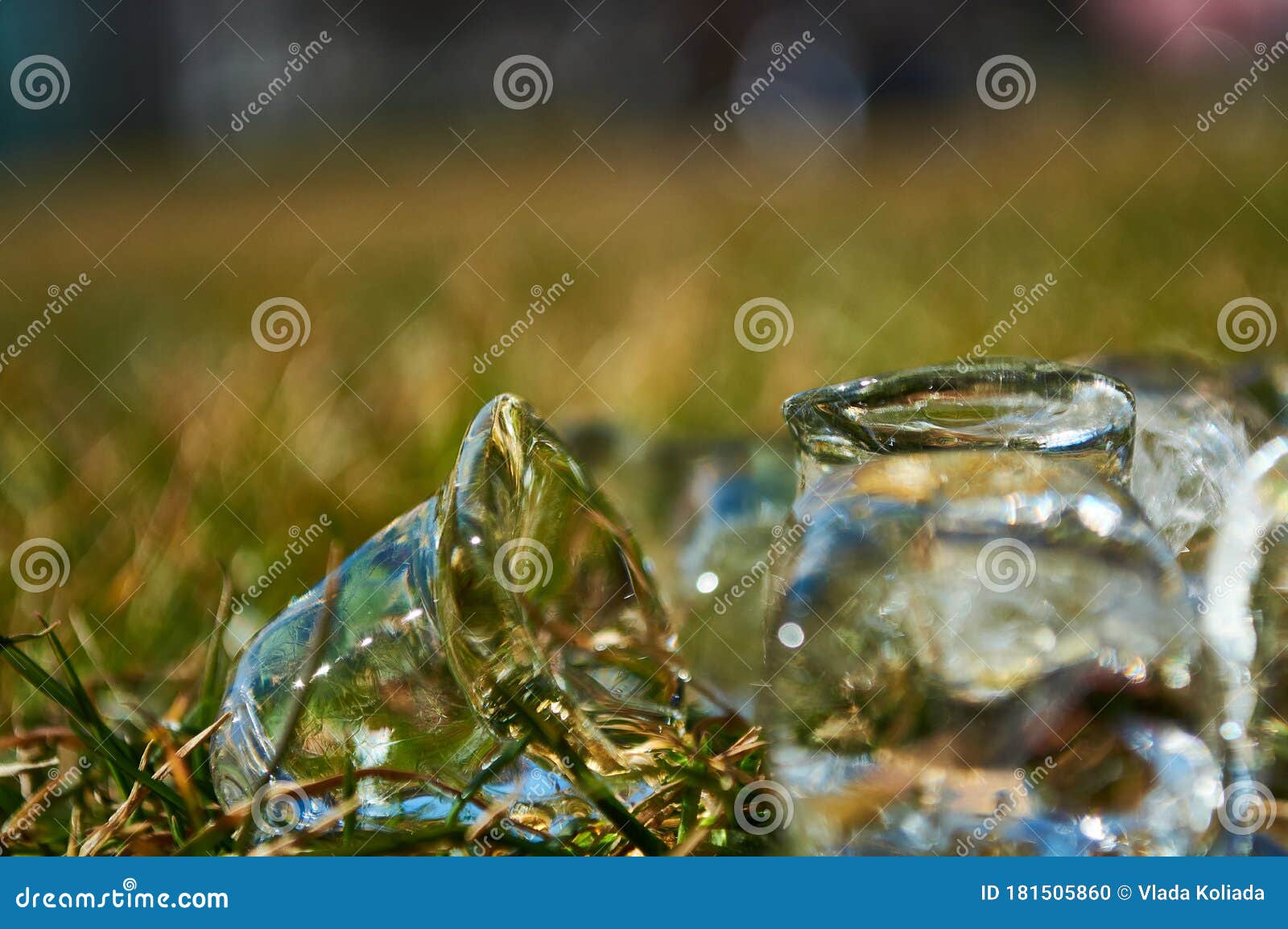 Background or Texture of Ice Cubes Melting Under Sun on the Green Lawn ...